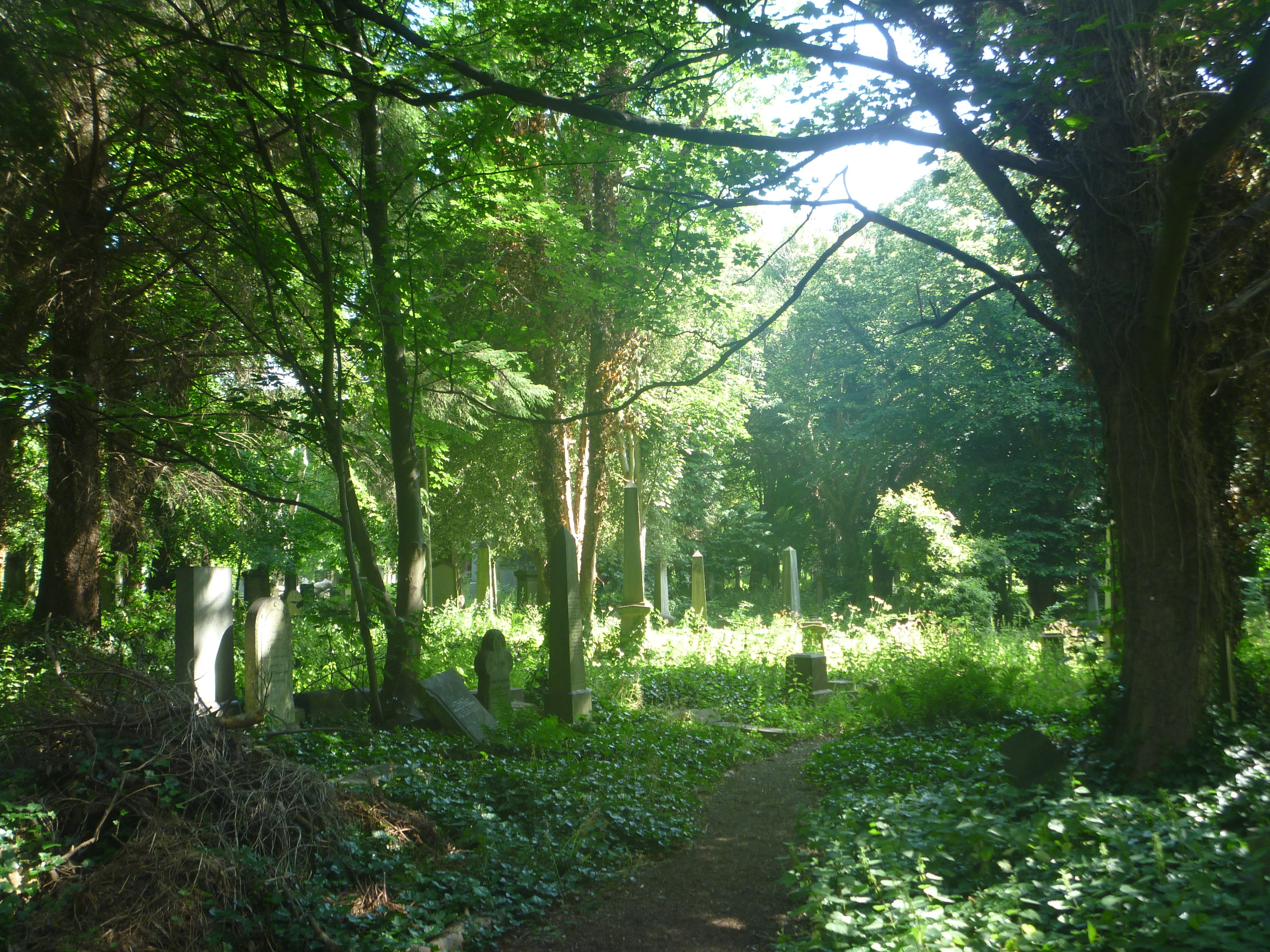 The Wildlife of Edinburgh's Cemeteries - by Juliet Wilson