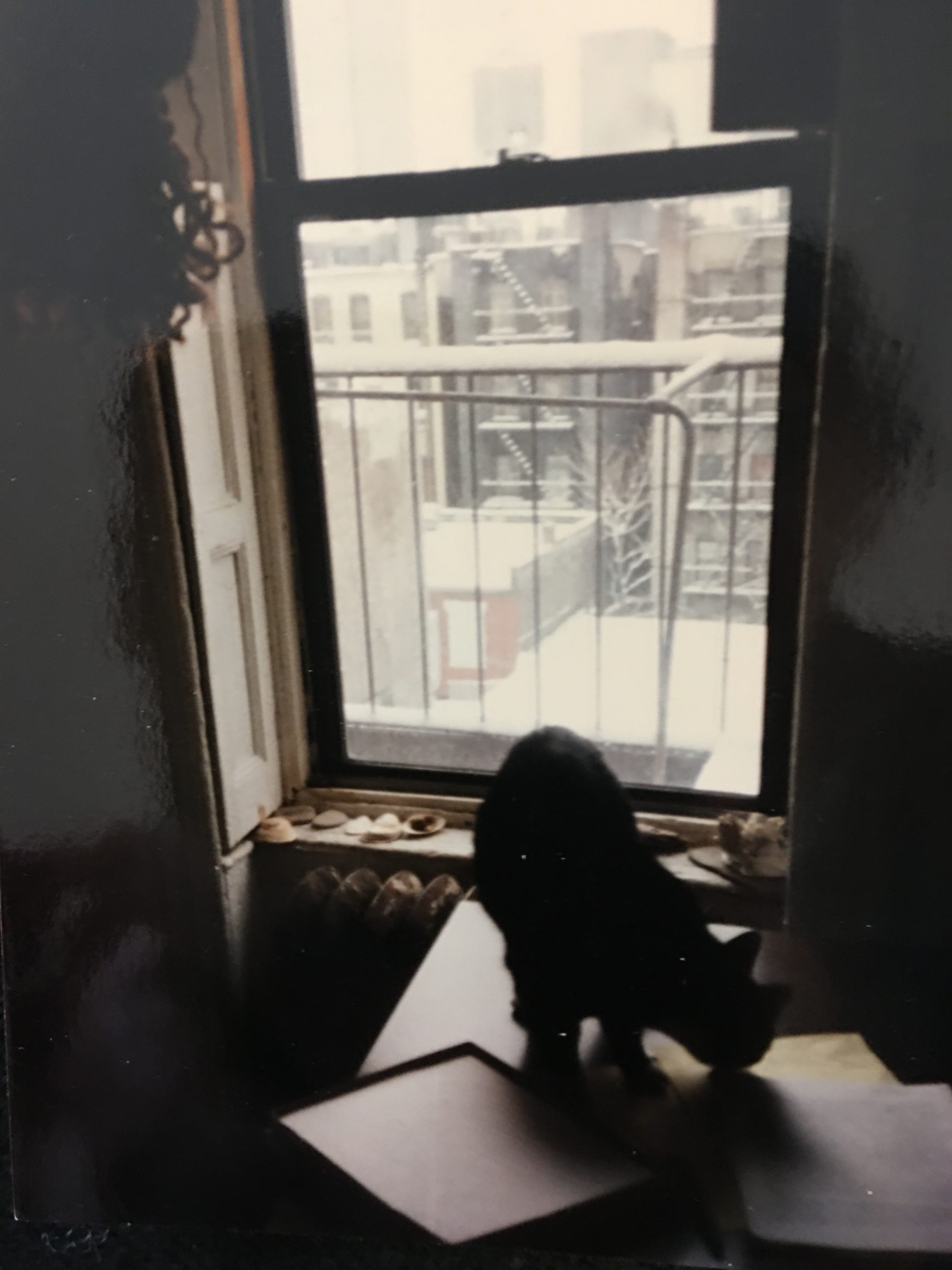 The Grand Circumference - by Russell C. Smith - The New Now