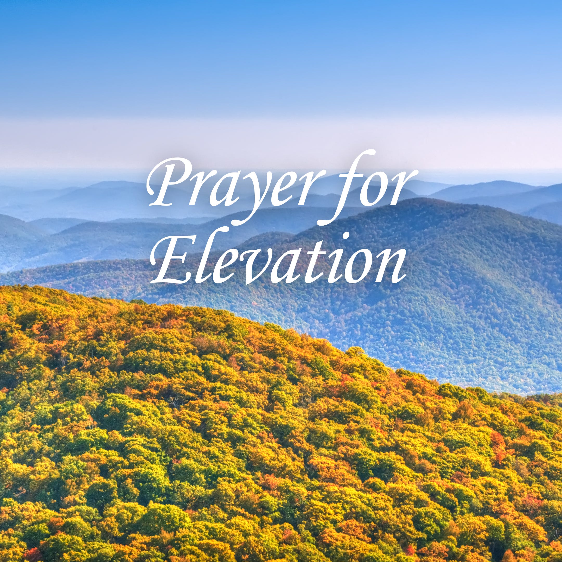 Prayer For Elevation - Daily Devotional For Women