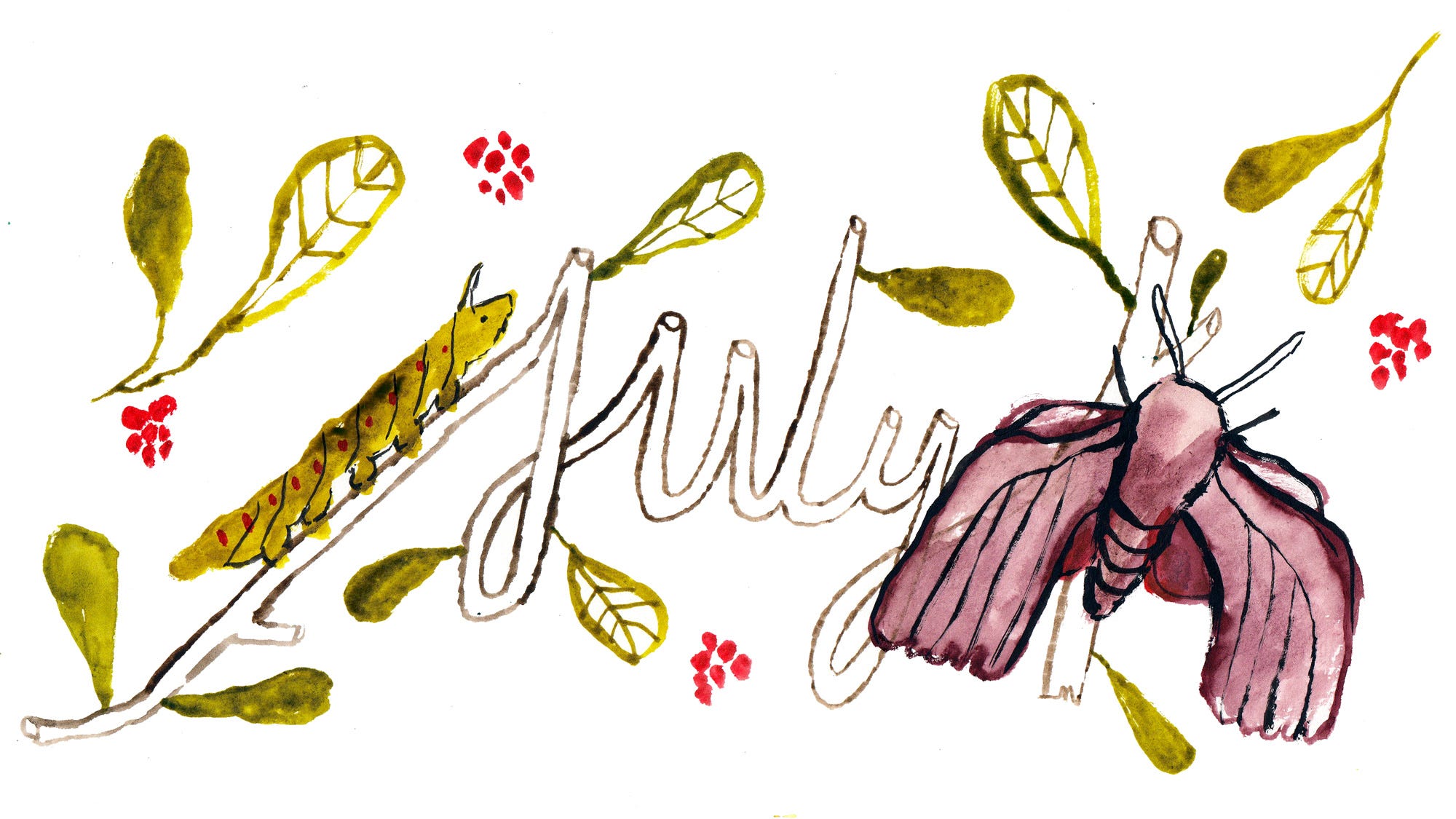 The Wobbly Line ~ 16 - by Julia Bethan - The Wobbly Line