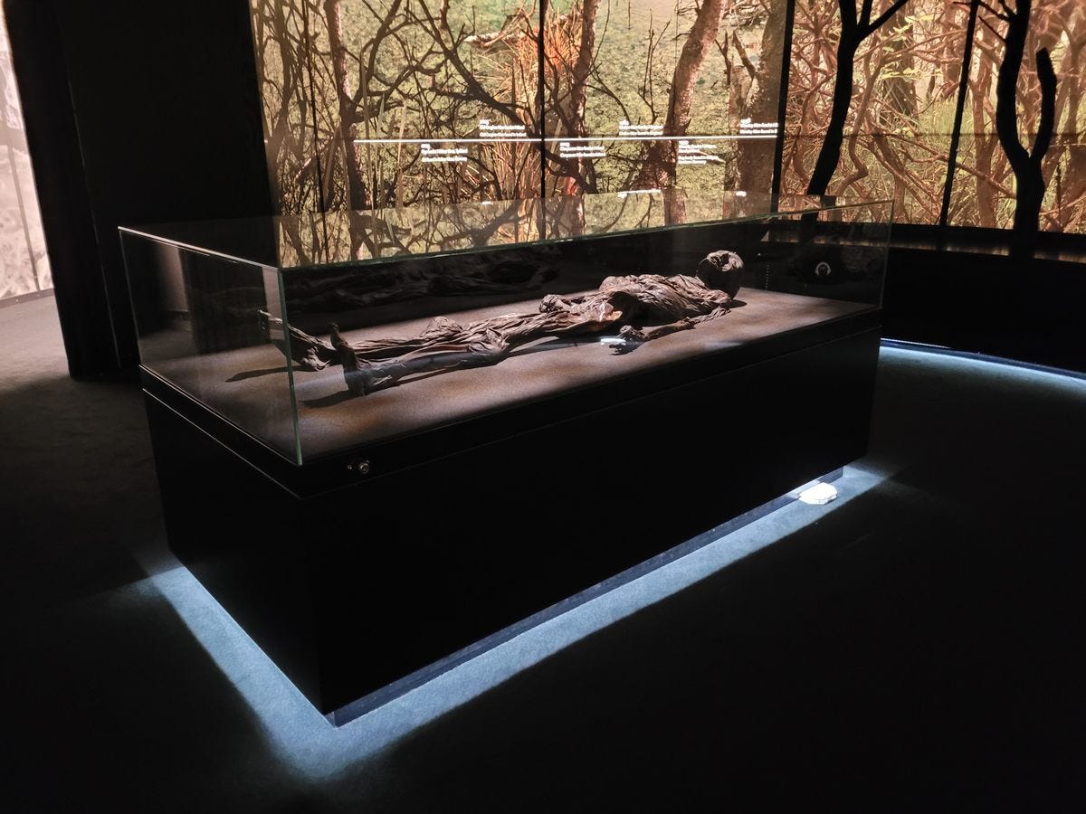 The Magic of Moss - Elemental Histories