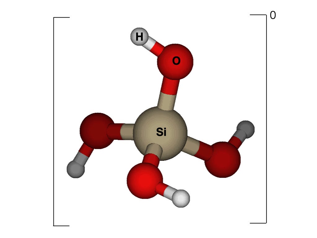 Biological Silicification - by Dr Christopher Exley