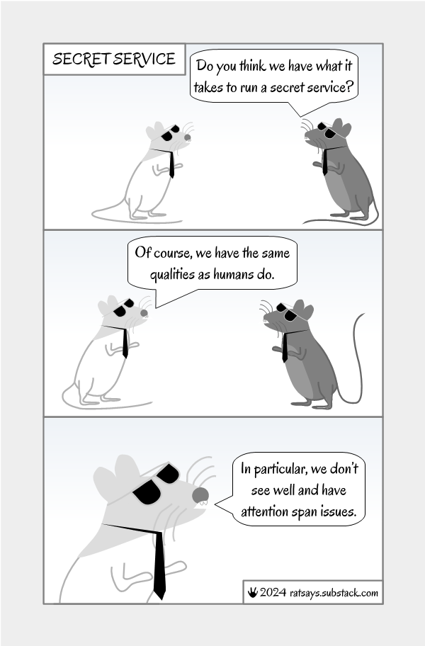 Secret Service - Rat Says