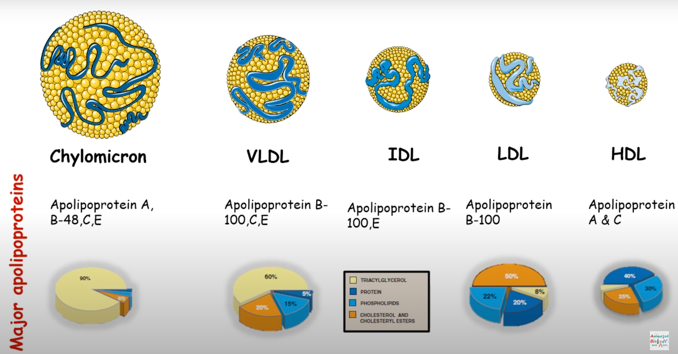 #4: Heart Disease: Lipids, Lipoproteins, and Longevity