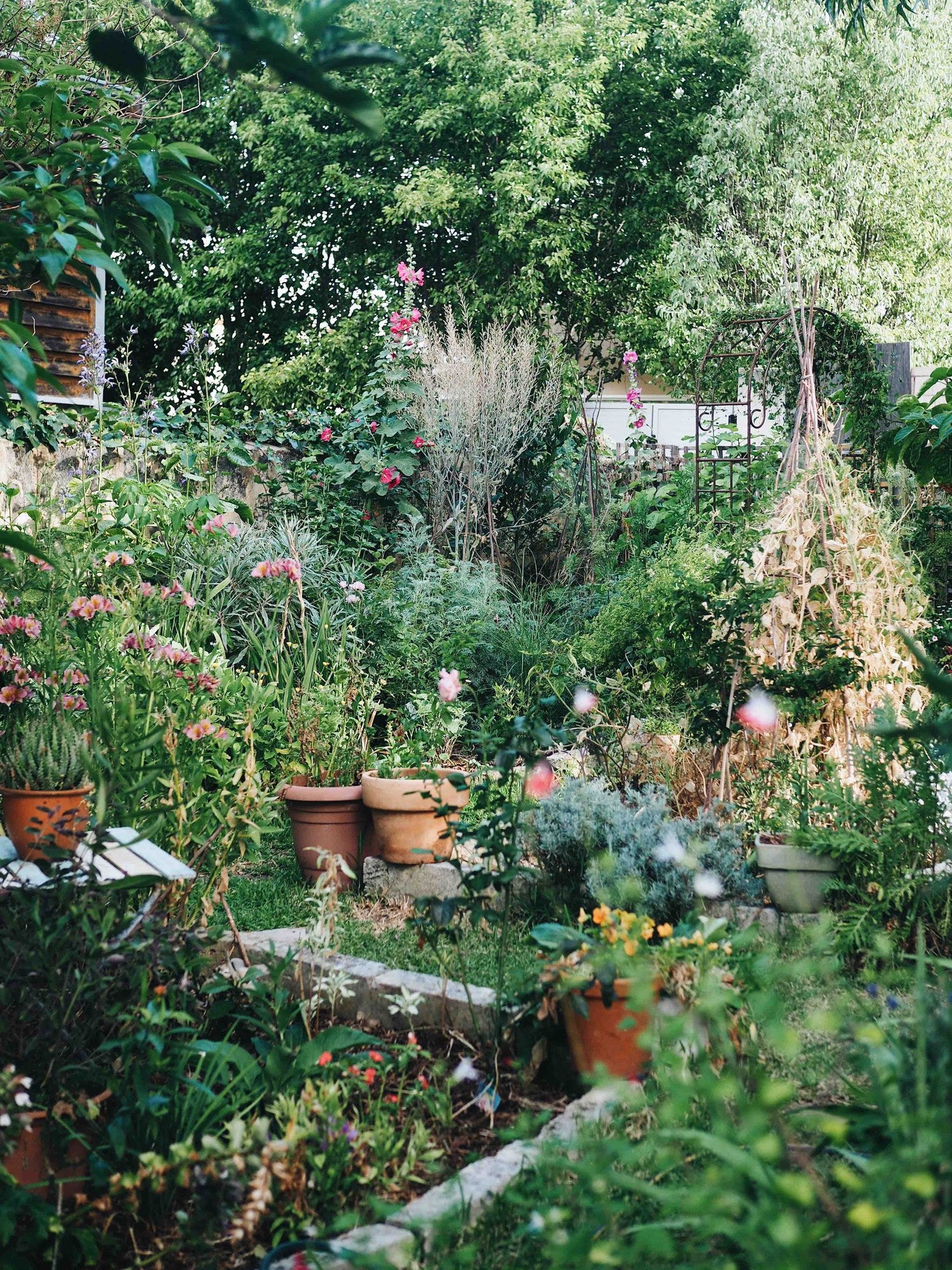 13 principles of great garden design - by Casey Lister