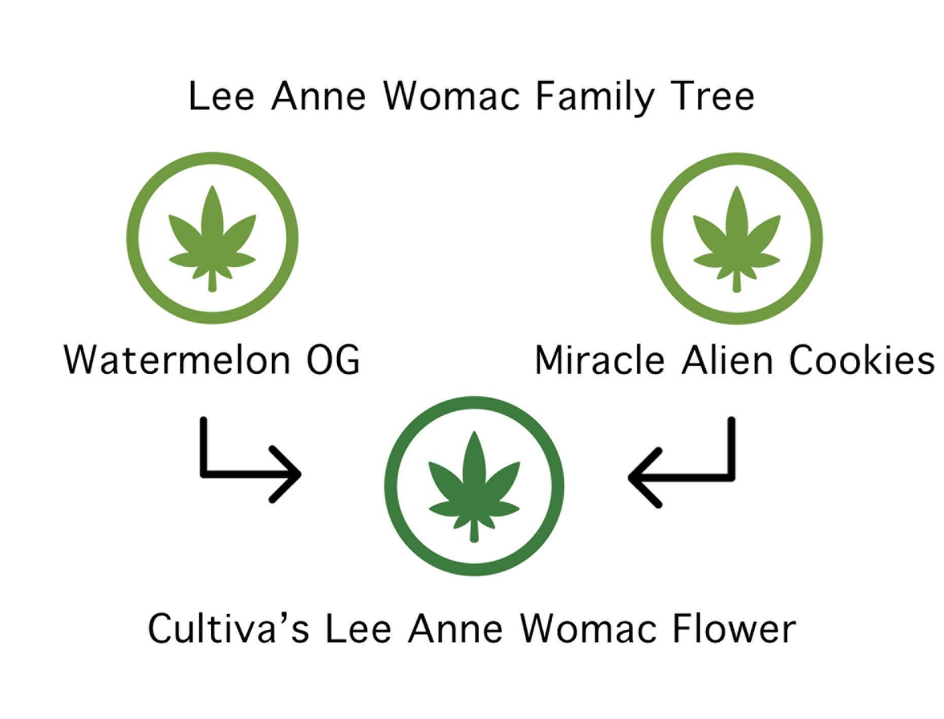 Cultiva's Lee Anne Womac Flower Review | AusCannaReviews