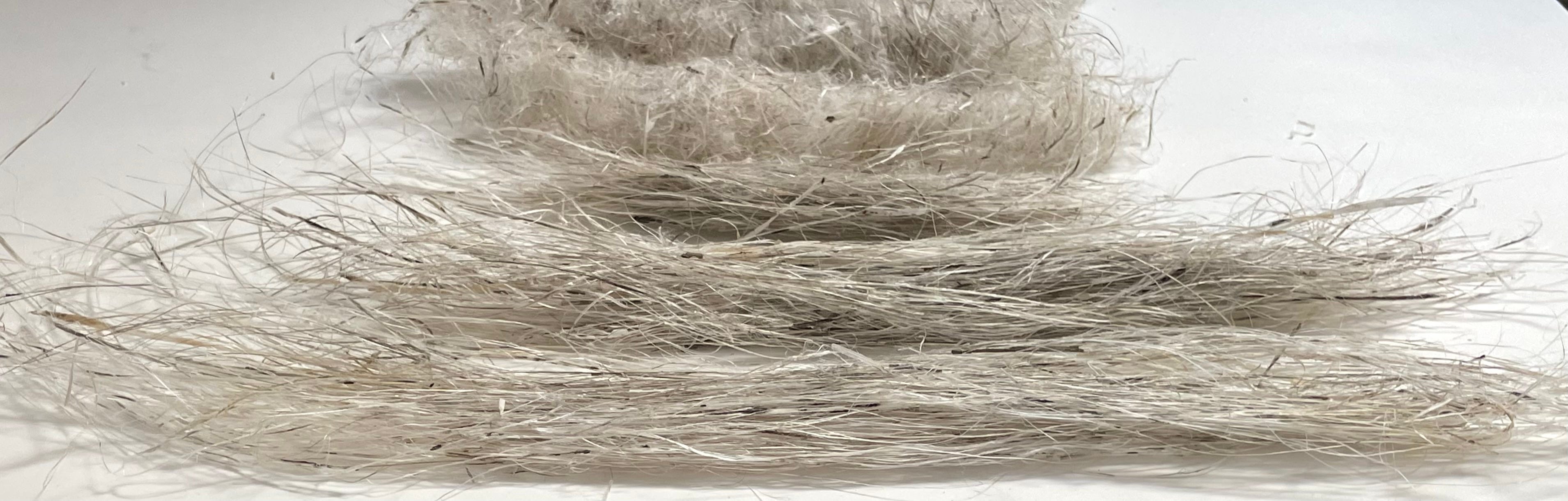 dog bliss and milkweed - by Sarah C Swett - The Gusset