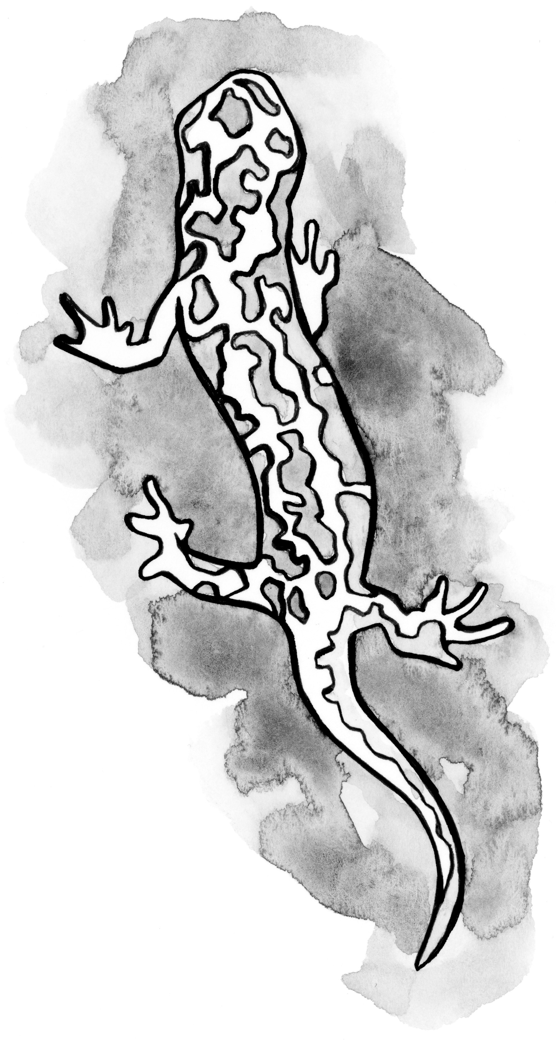 Invisibility Blindness - Made by Ade Substack