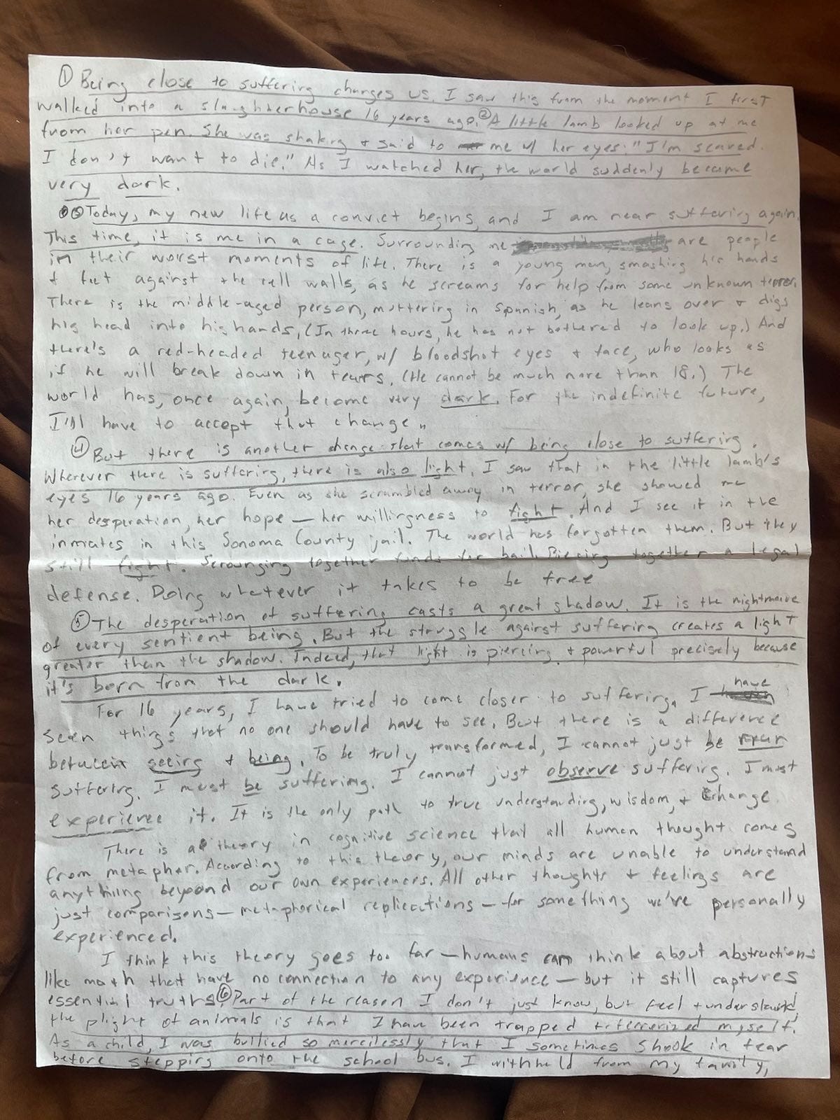 The Transformative Power of Suffering - by Wayne Hsiung