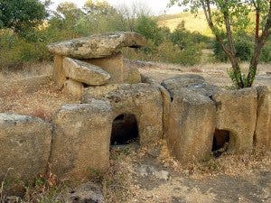 Guest Post: Dragons! - Amy Wolf Substack