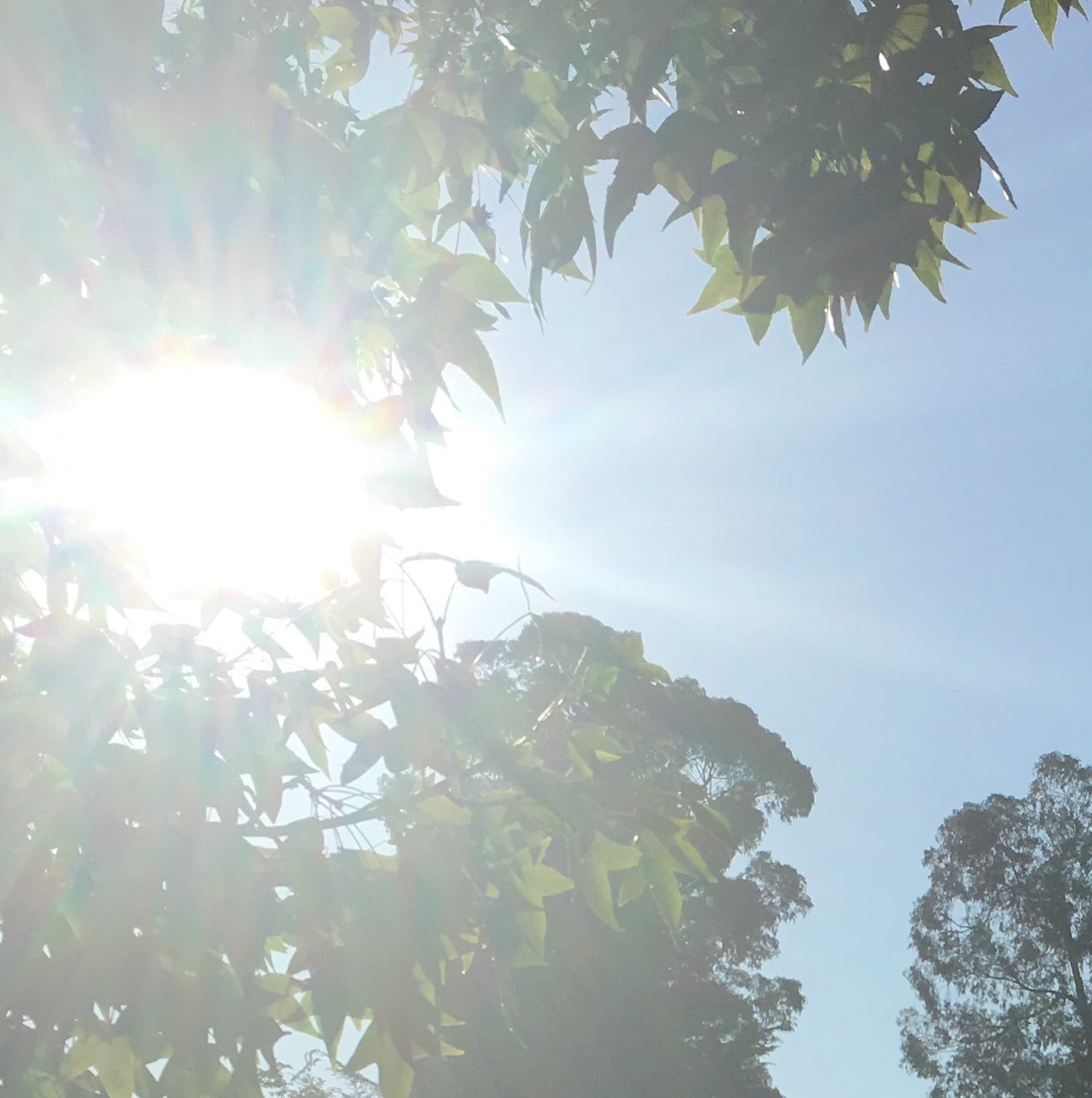 Sean Wyer | Substack