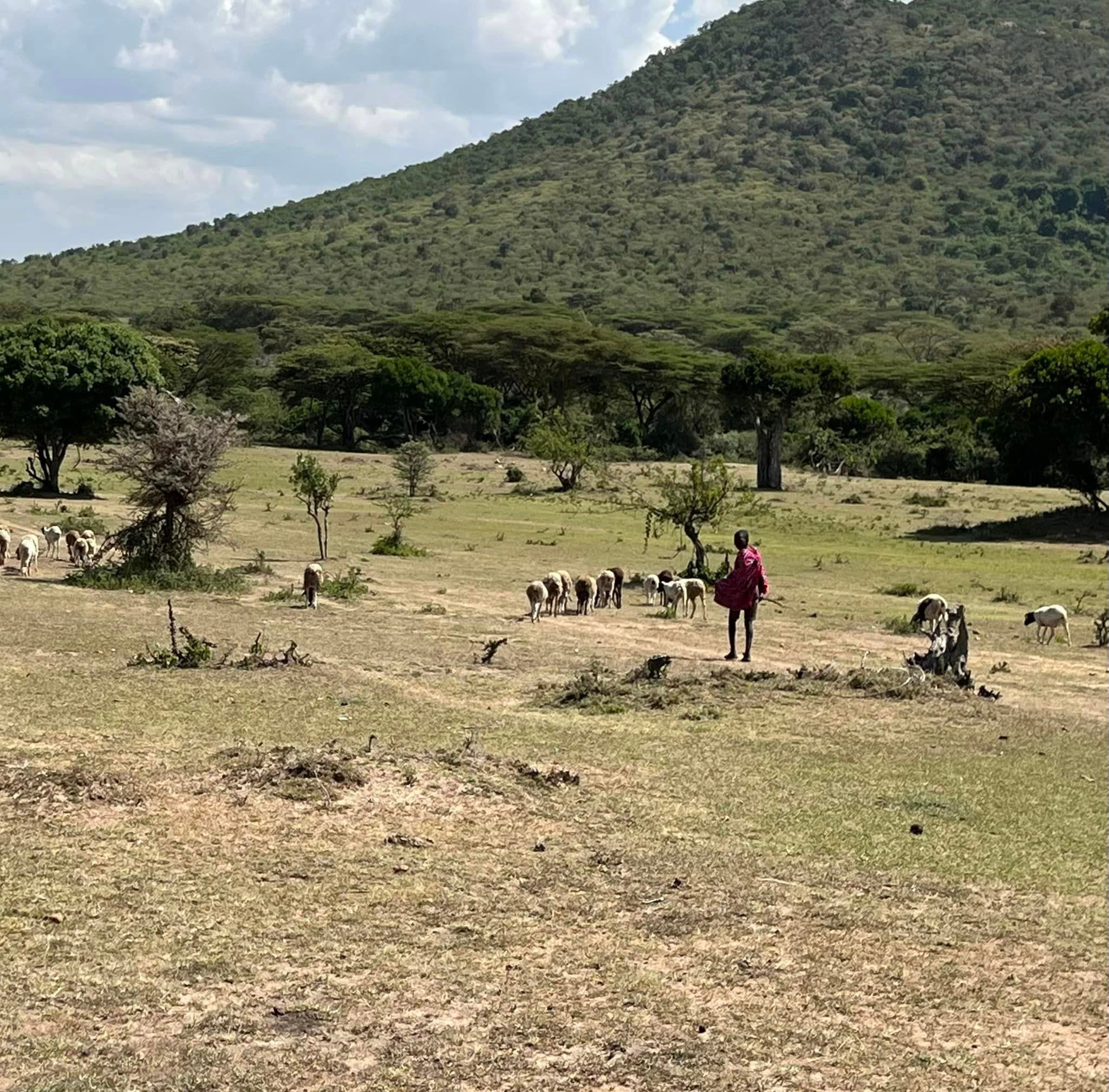 How the U.S. Border Arrived in Kenya - by Todd Miller