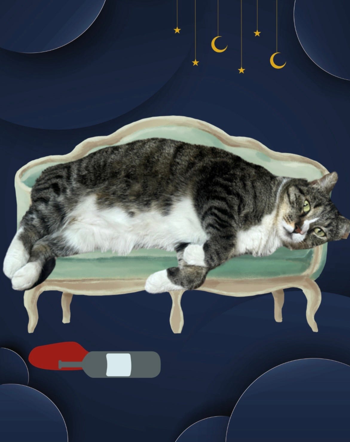 meow - ColorCulture Substack