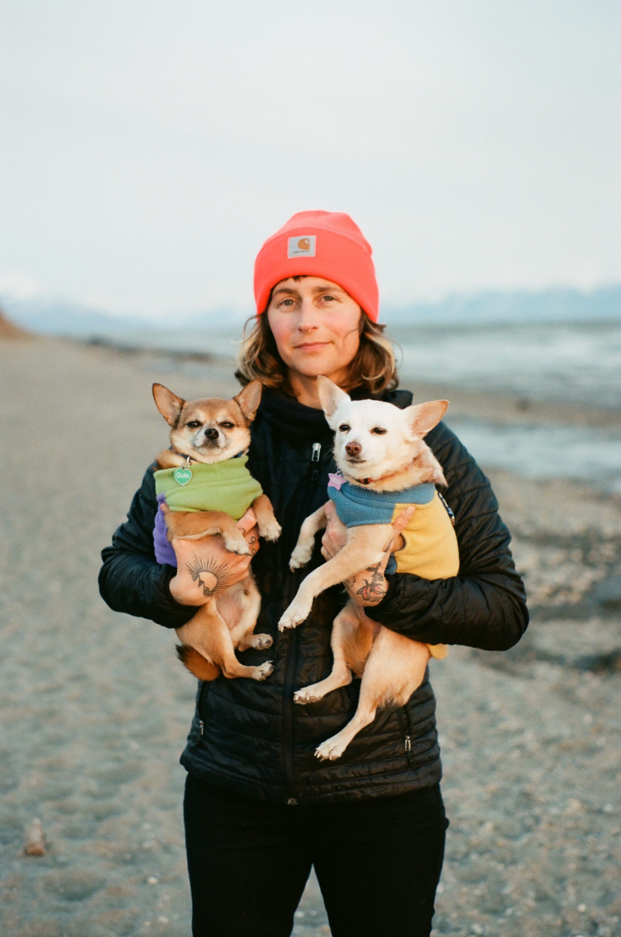 Carrot Quinn | Substack