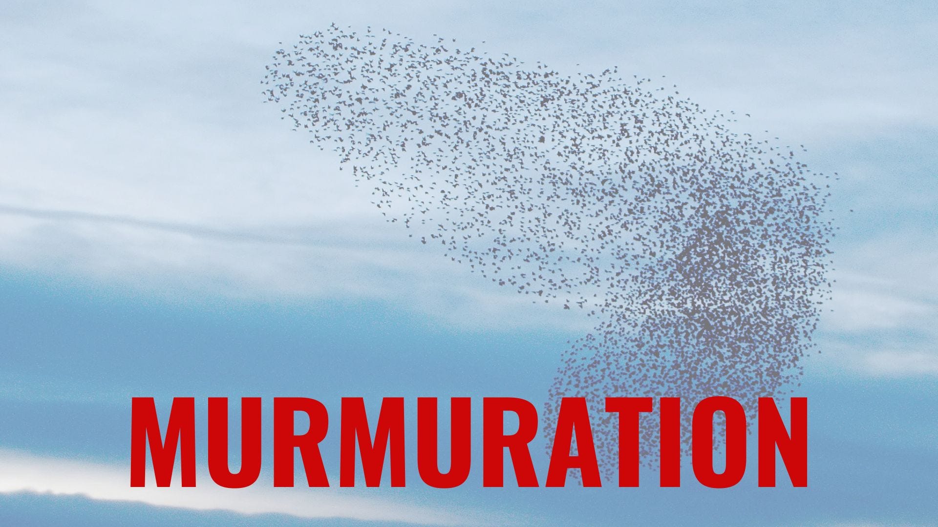 Words We Need: Murmuration - by Michelle Nijhuis