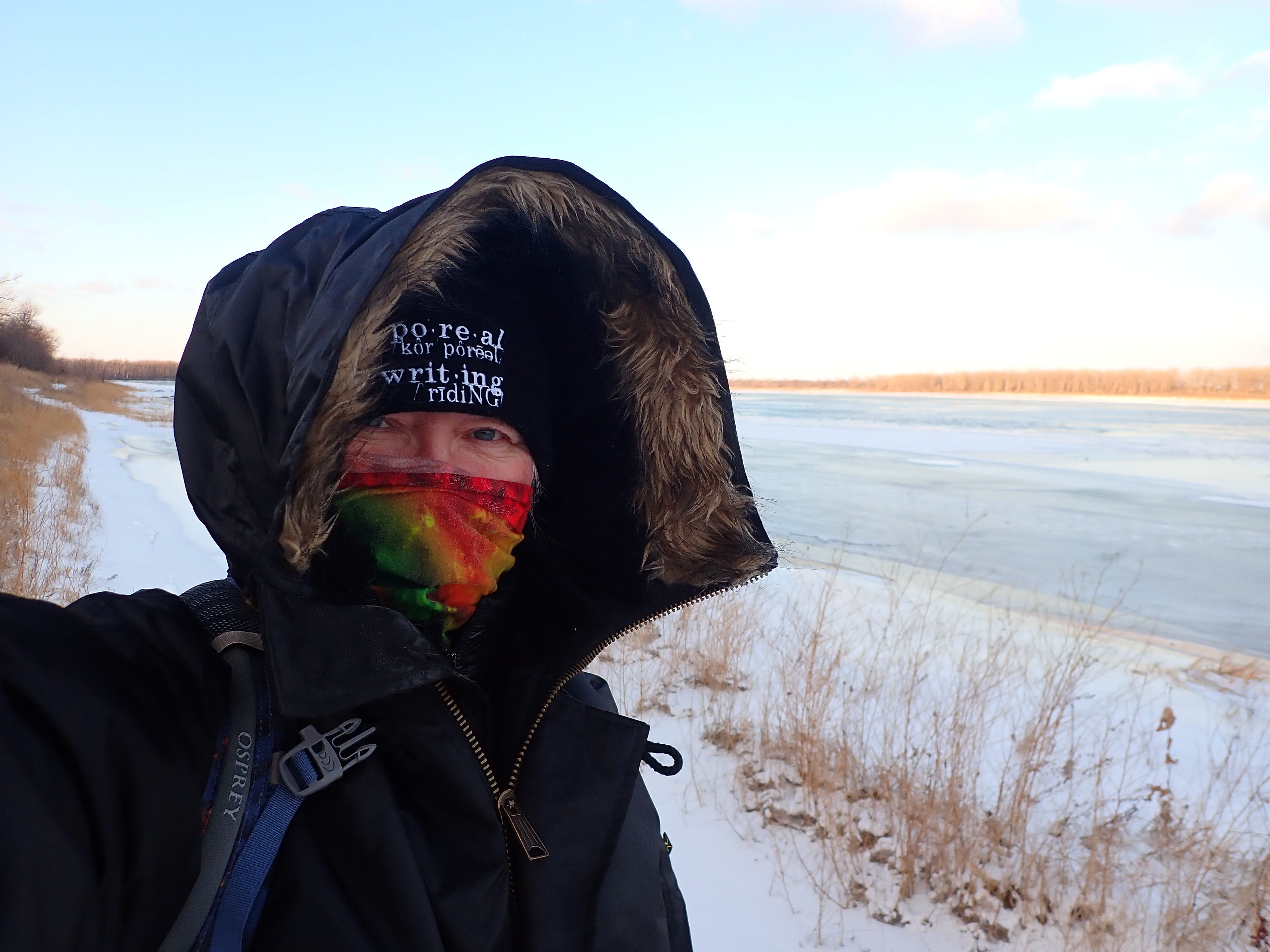 Snowbird Stories: I Come By the Title Genetically