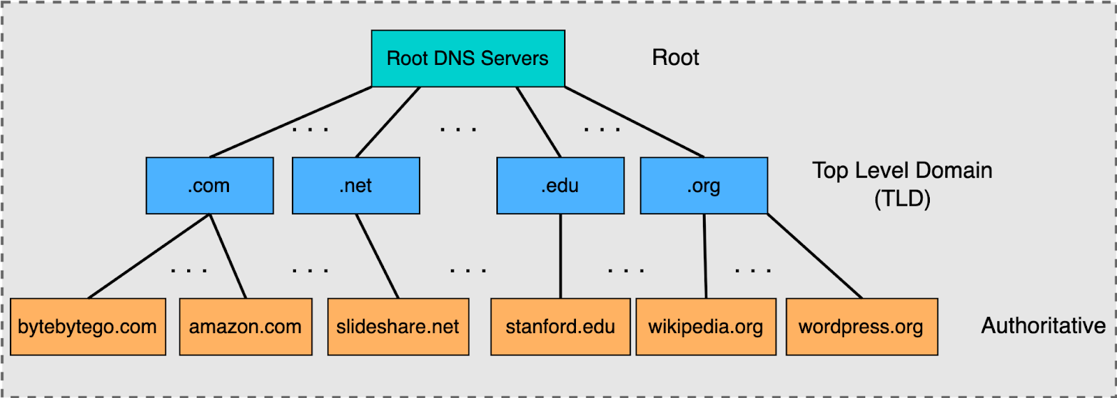 A Crash Course In Dns Bytebytego Newsletter