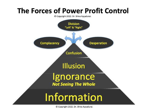 BIOLOGY, IDENTITY & HUMAN RIGHTS: Gender Issues Part 2