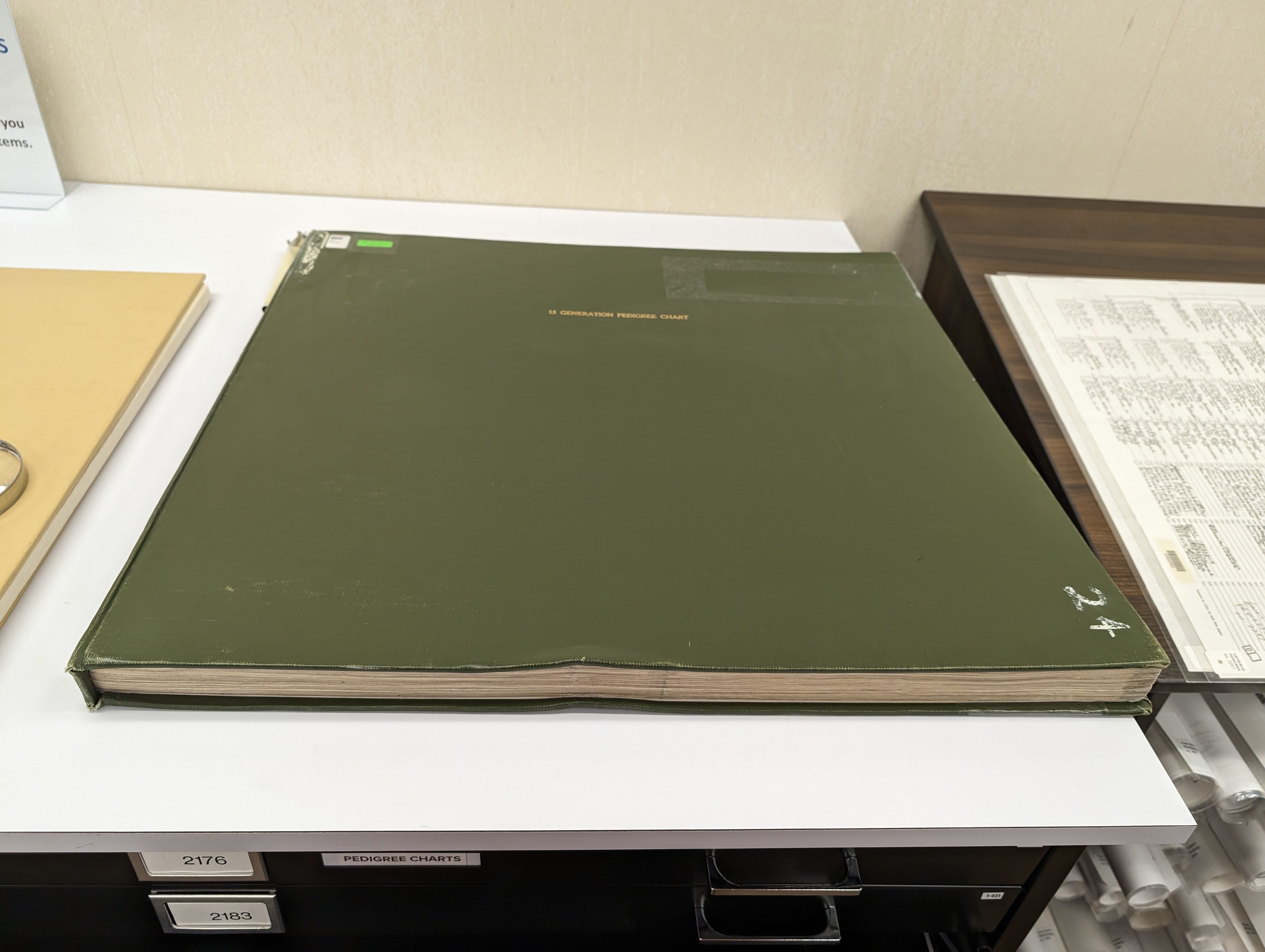 That's One Big Chart! - Taneya Koonce’s Substack