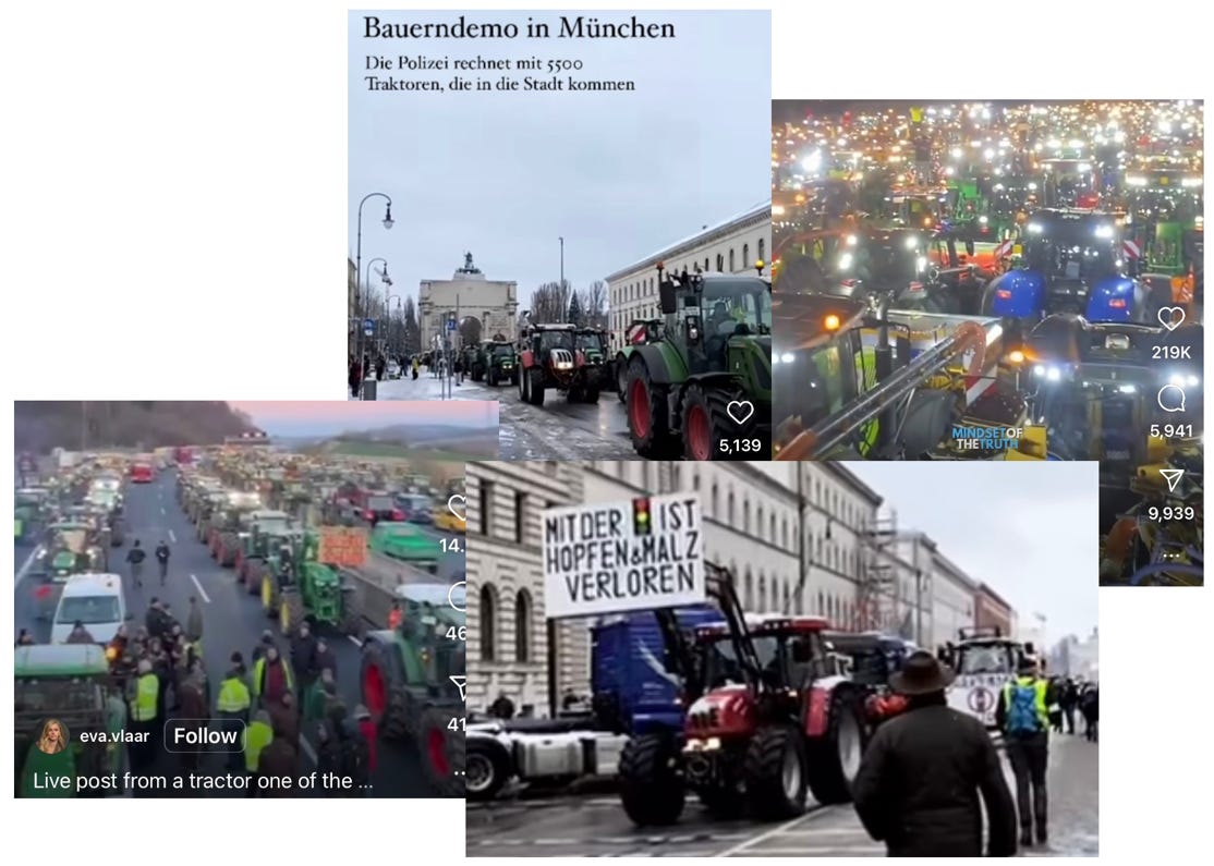 2024 Hop Market Forecast - by Douglas MacKinnon