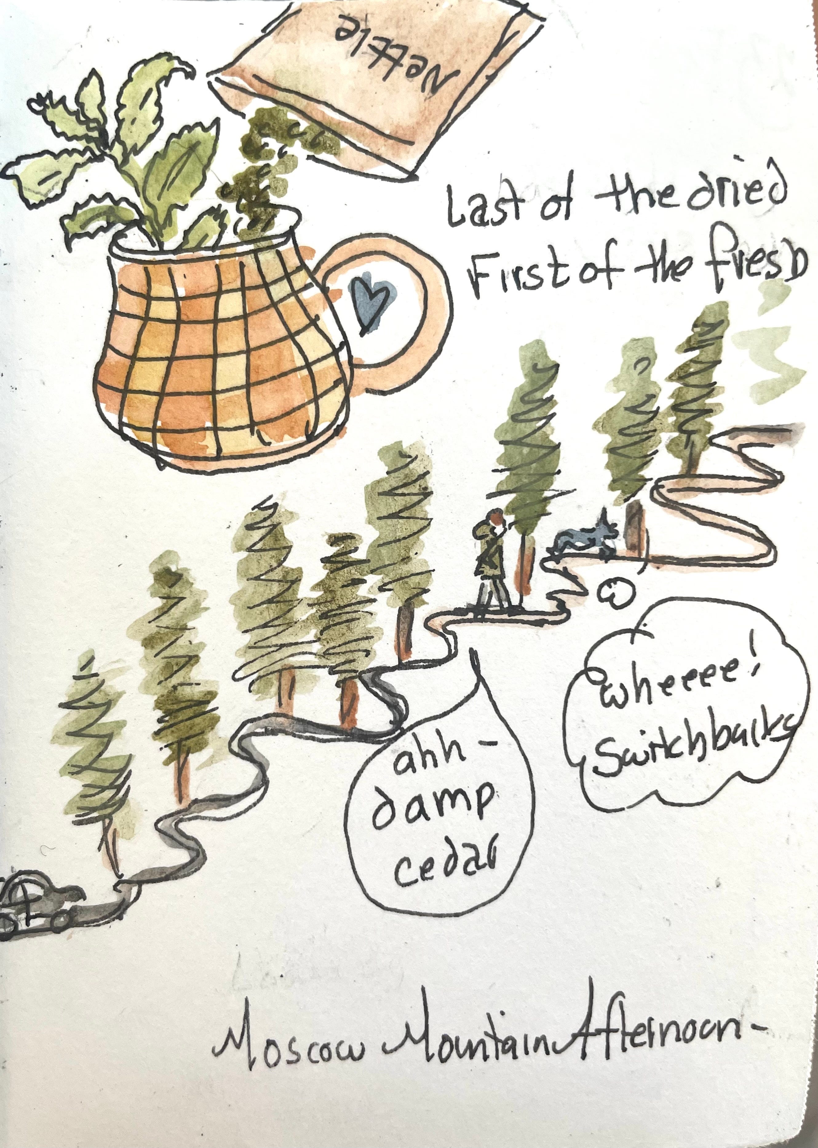 a visit to mend land - by Sarah C Swett - The Gusset