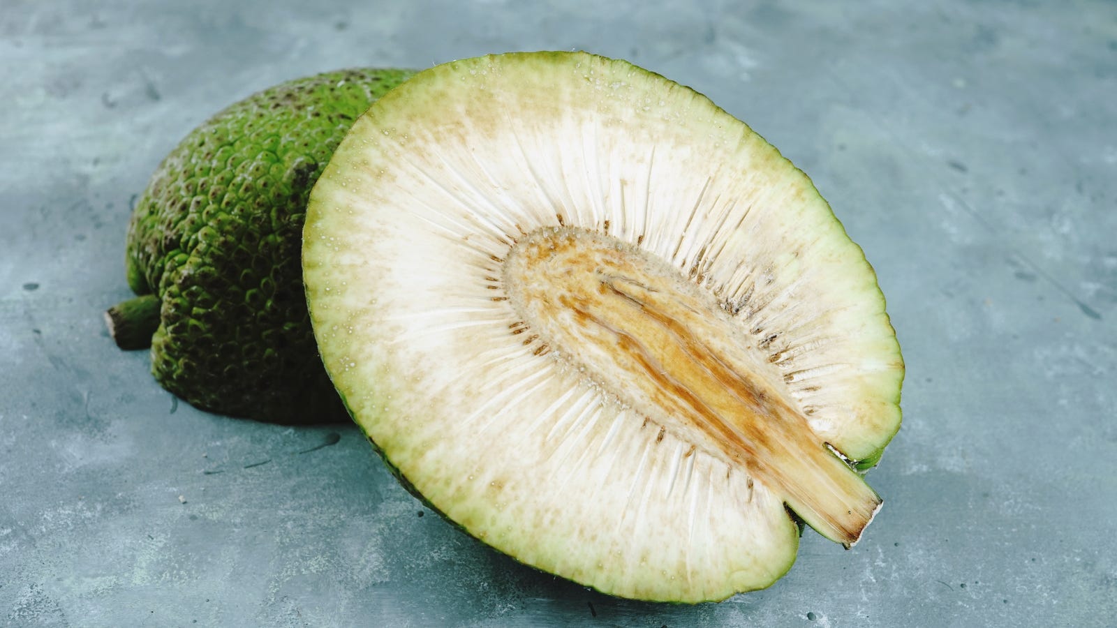 The incredible edible & medicinal breadfruit!