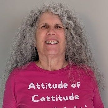 Pamela Cummins | Substack