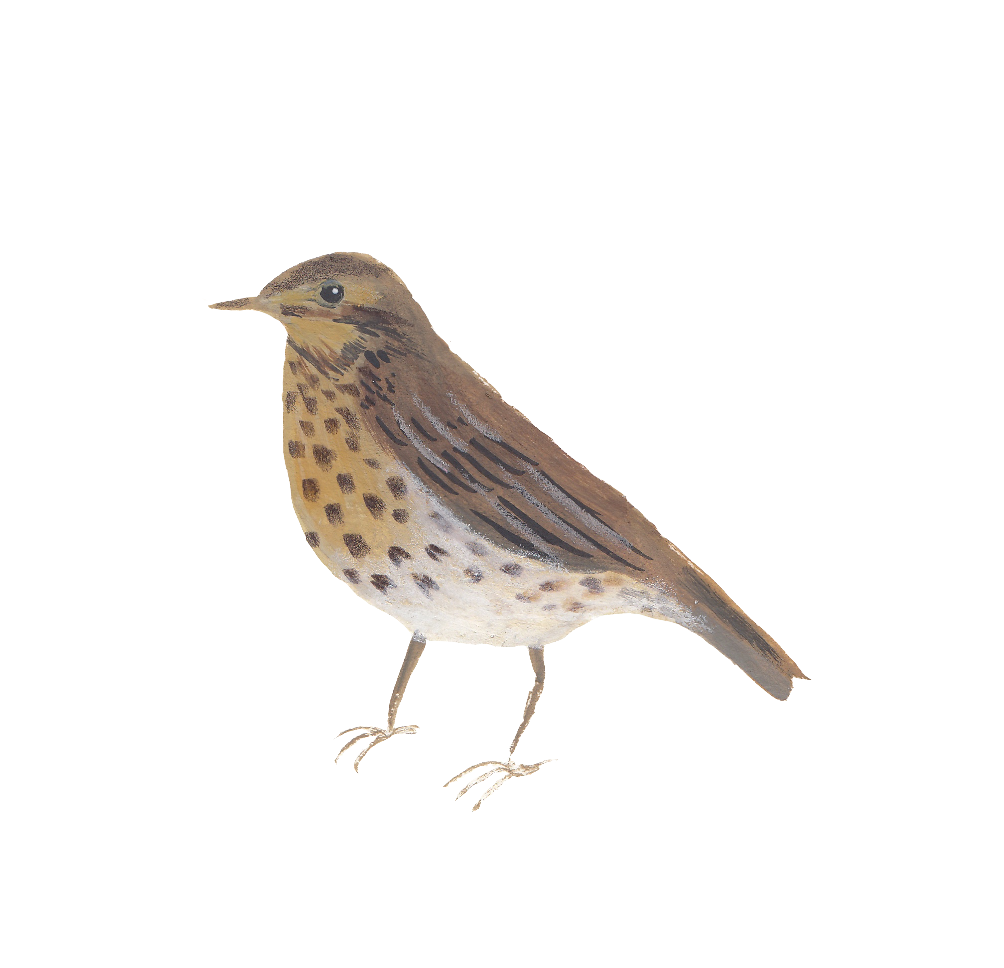 Julia Crossland | Substack