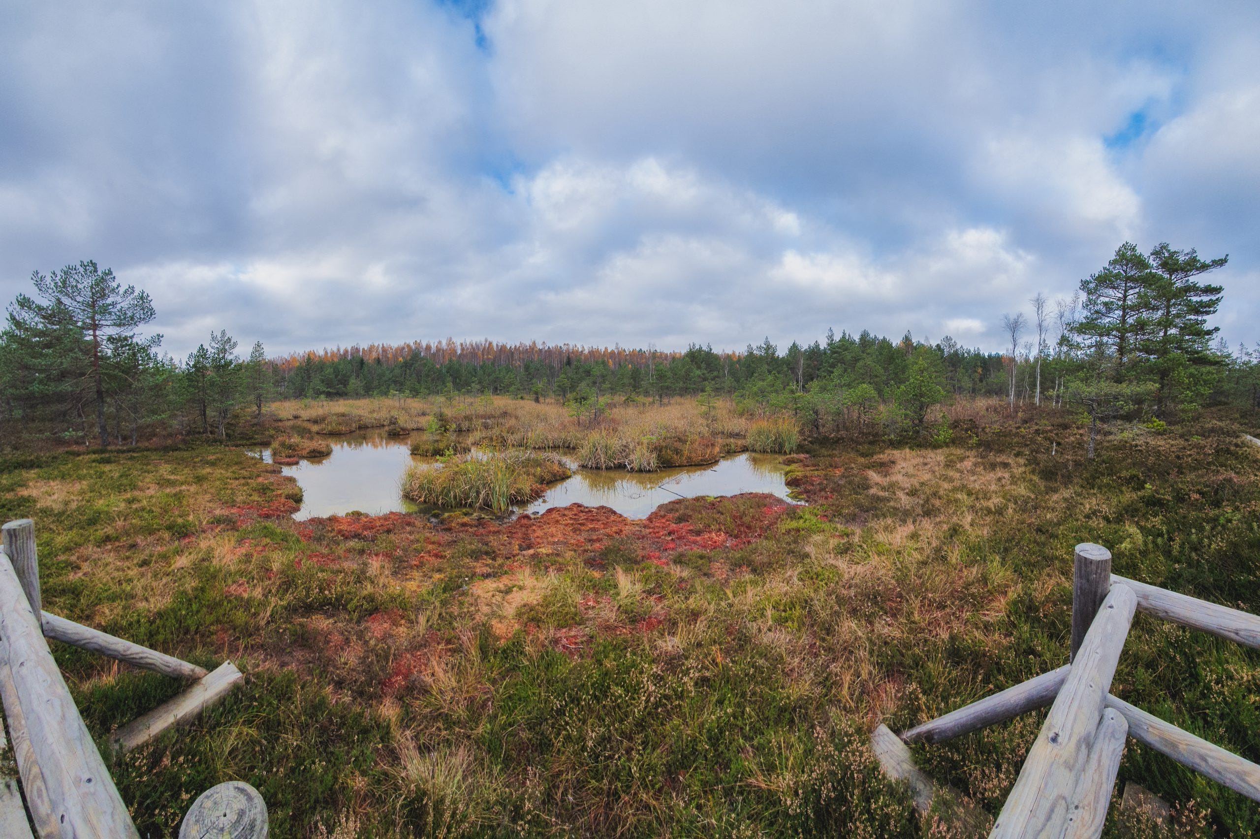 Raganu purva sēra dīķu taka - 9 km pastaigas maršruts