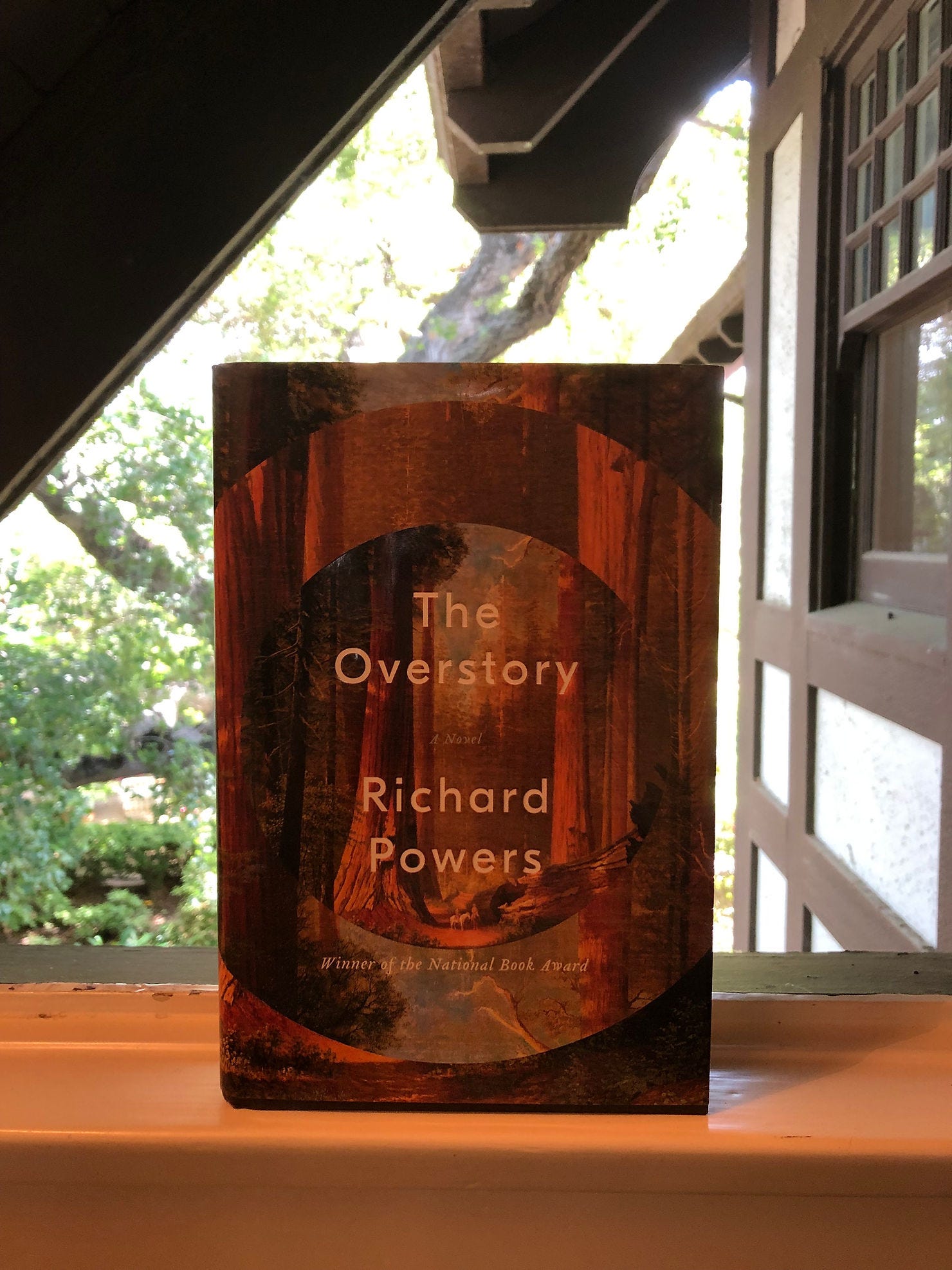 Book Review of THE OVERSTORY: A 21st Century Moby Dick