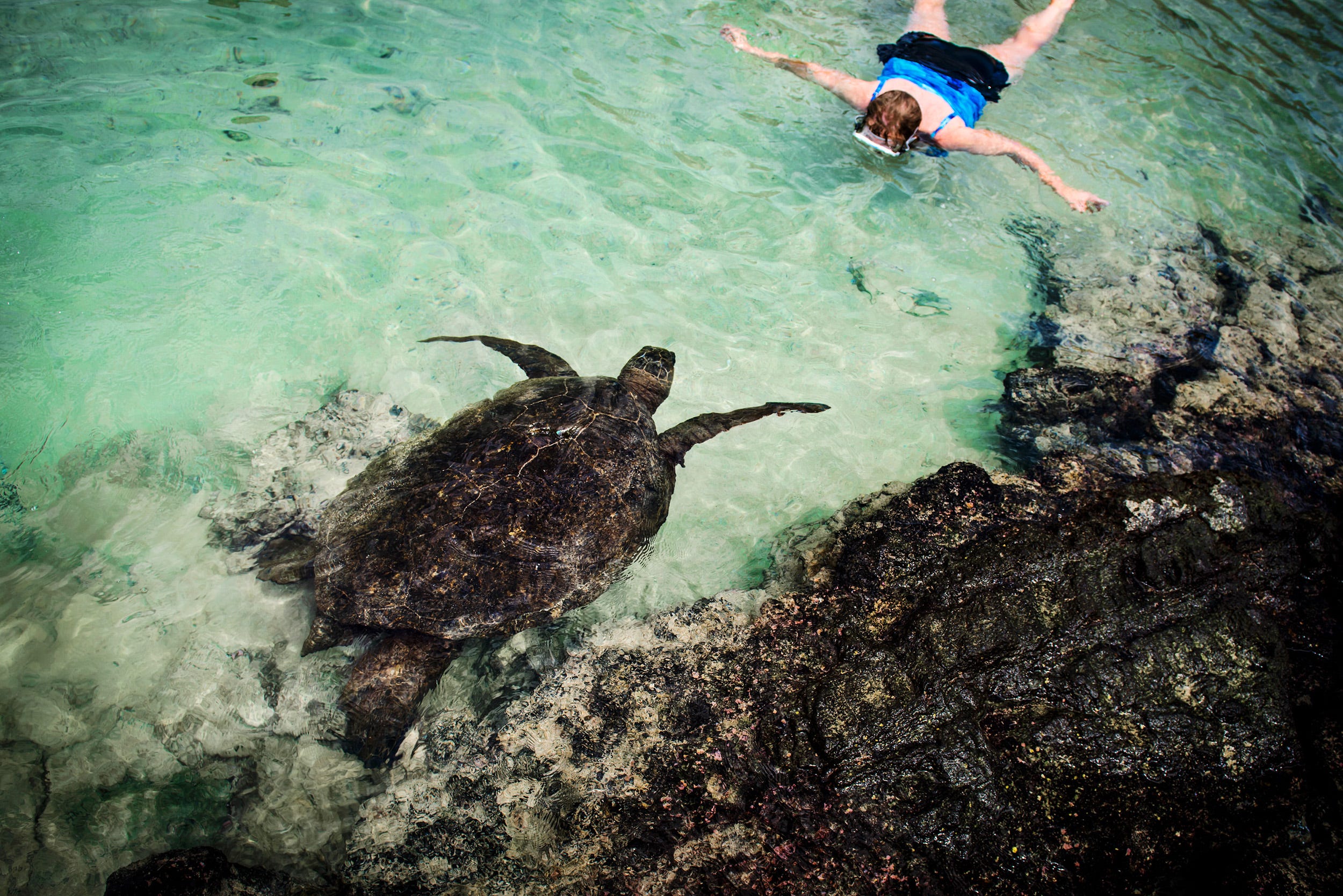 A Talk With NYTMag's Director, Kathy Ryan, and My Favorite Assignment ...