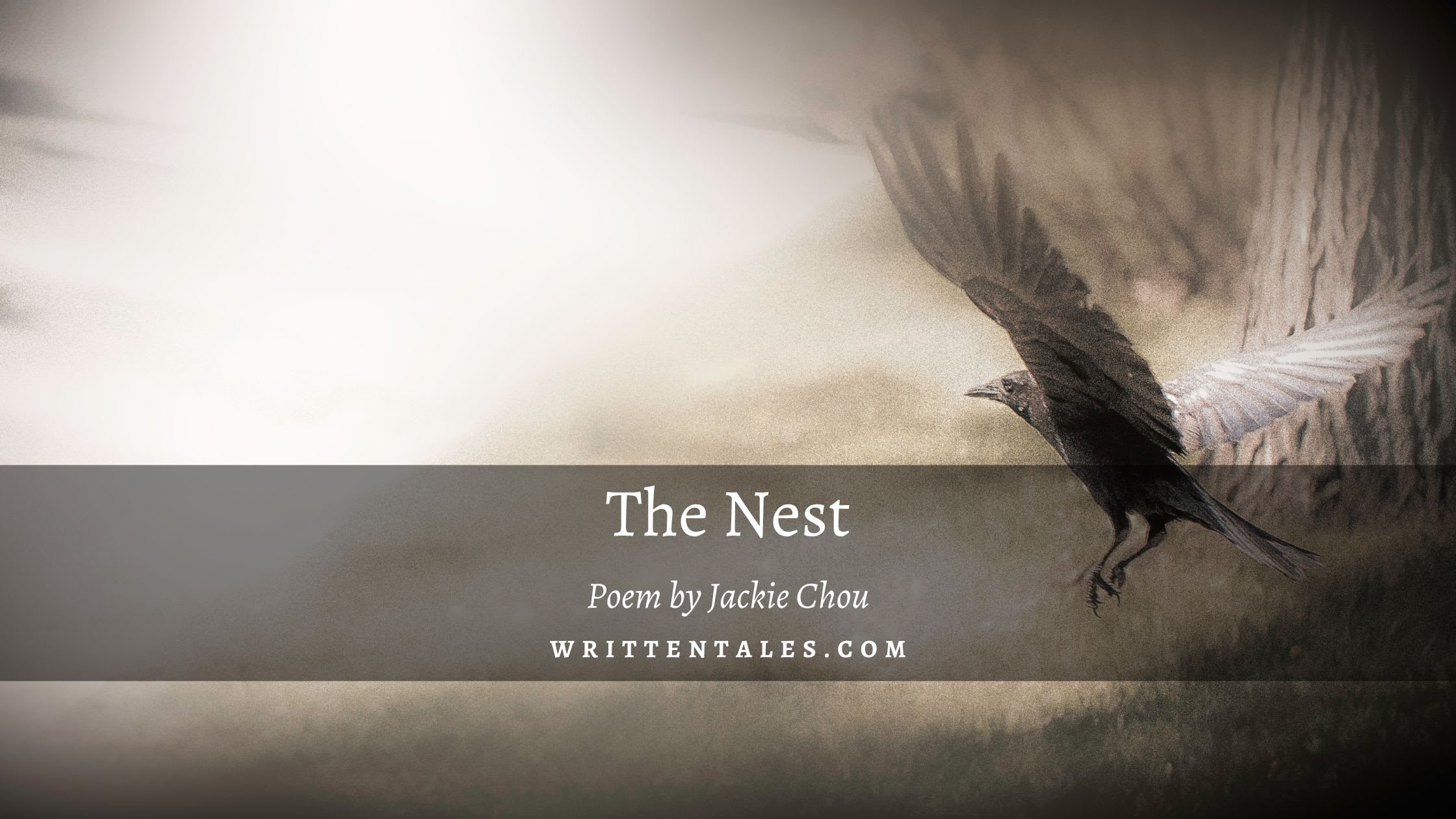 The Nest - Written Tales Magazine