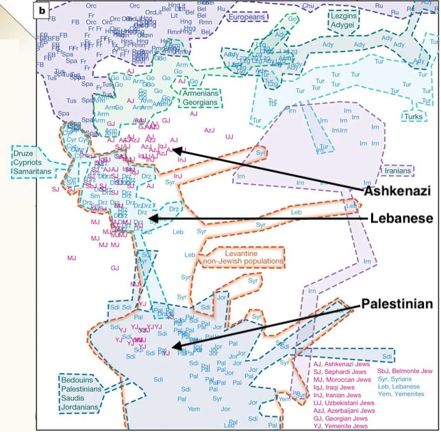 More than kin, less than kind: Jews and Palestinians as Canaanite cousins