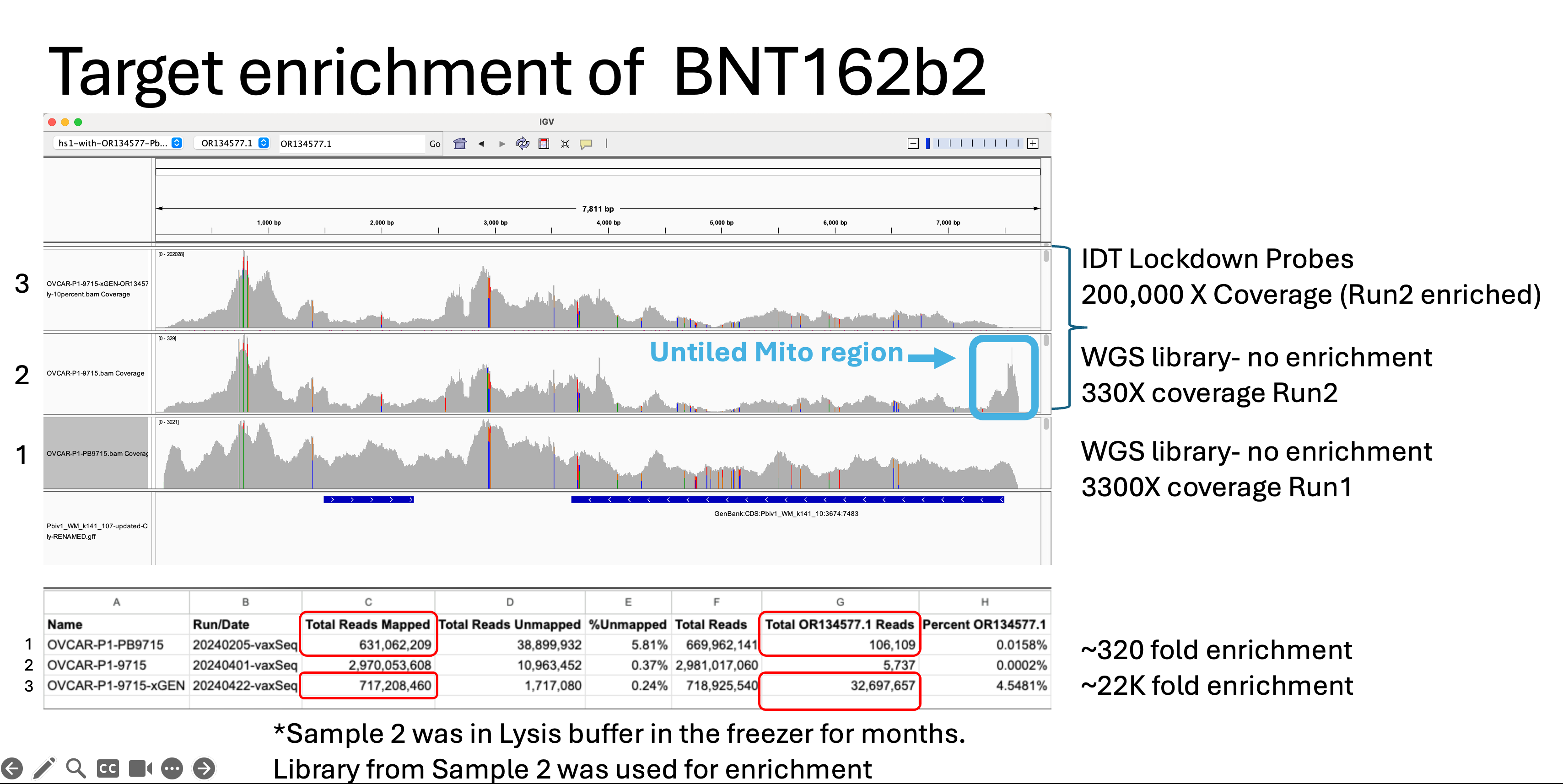 Targeted Enrichment and sequencing of BNT162b2 from OvCar3 cells