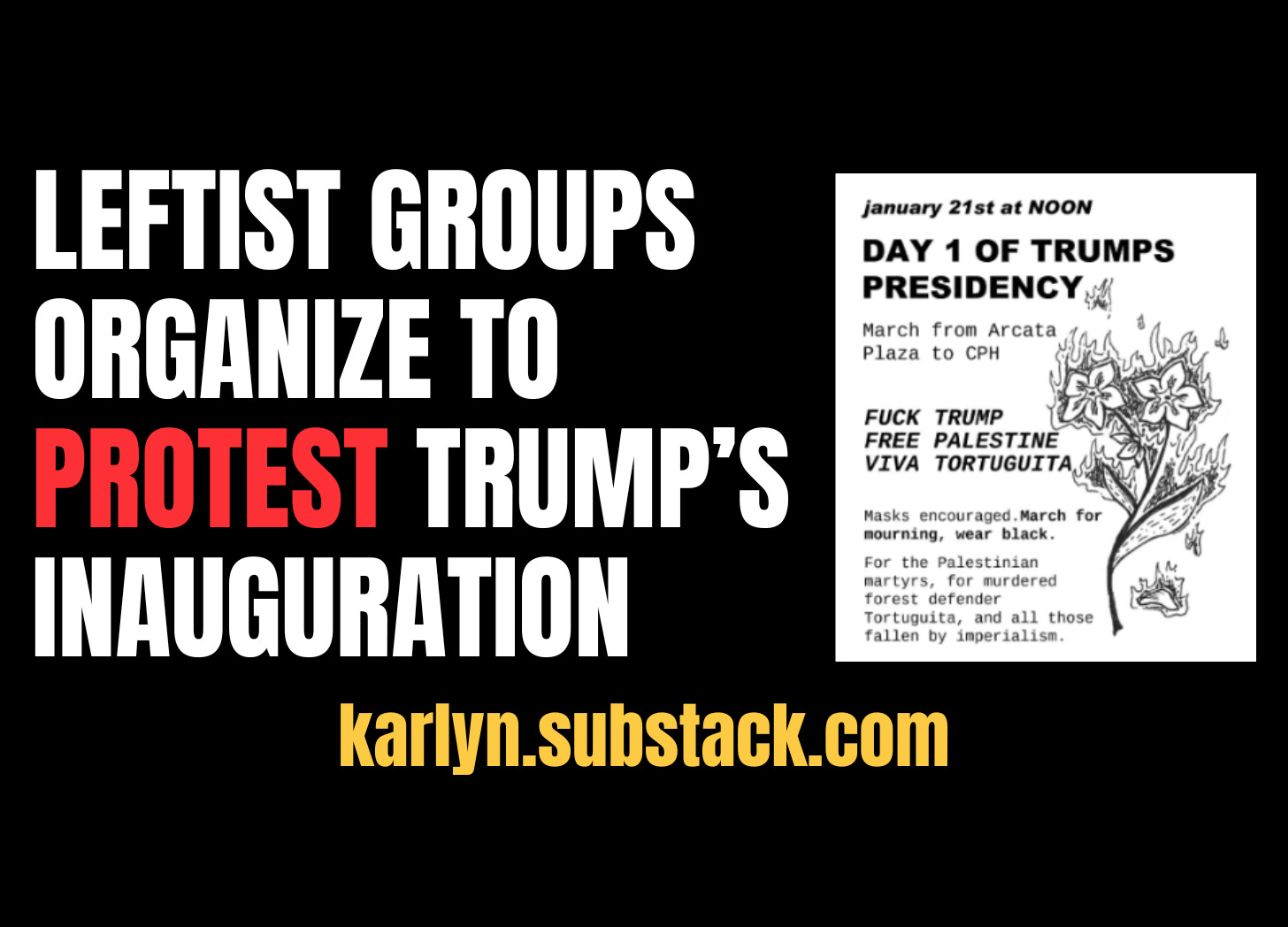 The Resistance Mobilizes: A Complete Rundown of Leftist Groups ...