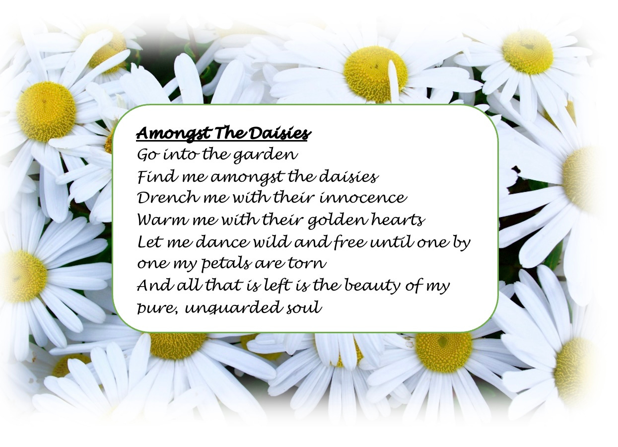Amongst The Daisies - by Tora Jones - Victoria’s Substack