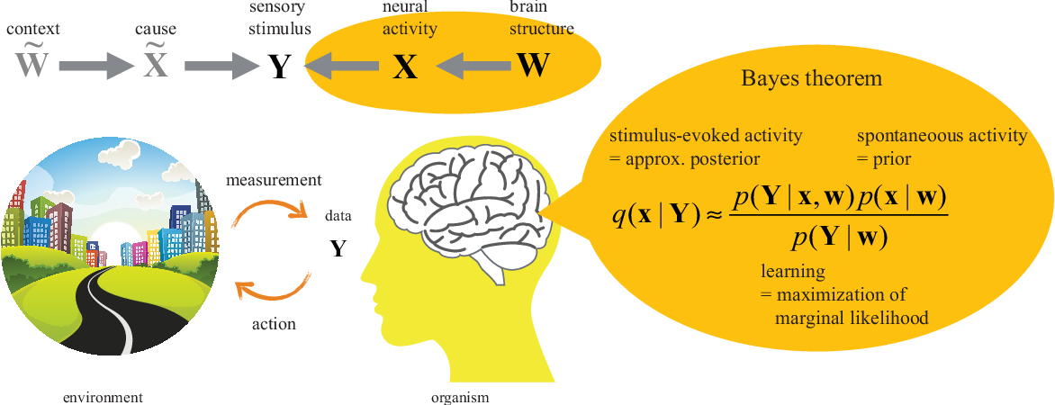 Not Another Bias! - by Lionel Page - Optimally Irrational