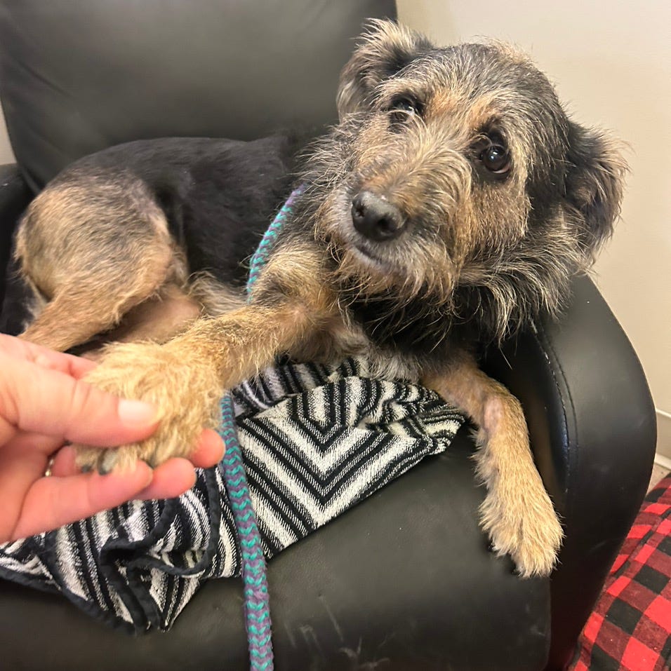 Mark Mann | Substack