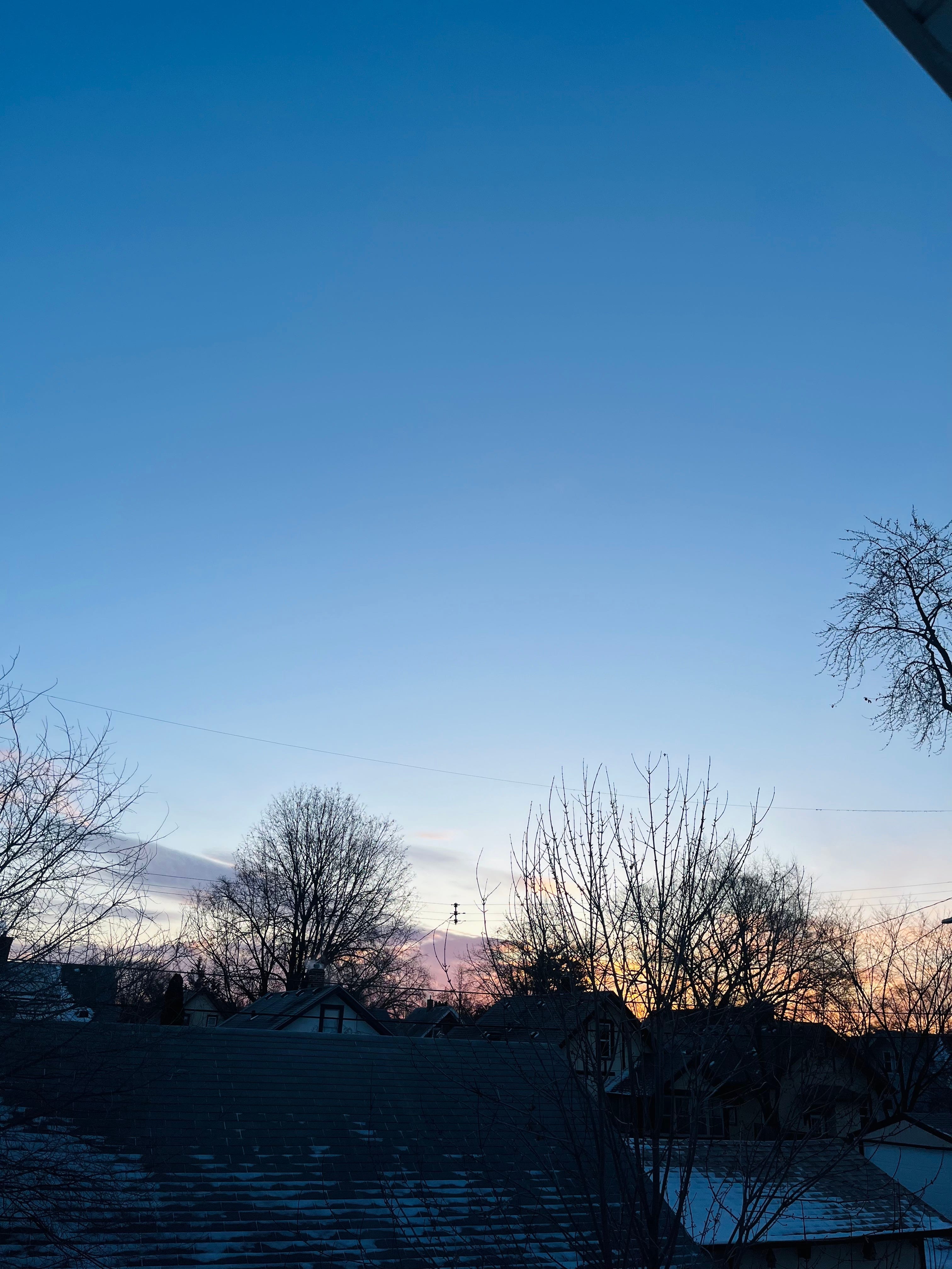 Entry number 4 - by Julie Beans - Juliebeans