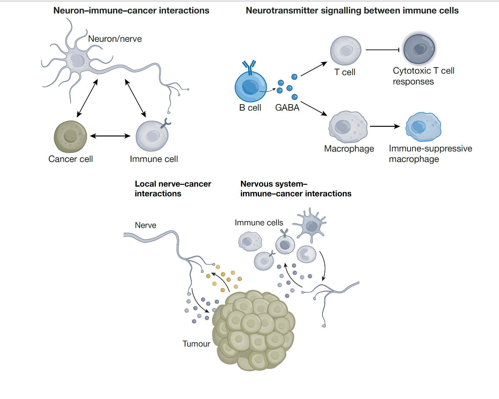 Cancer and the Nervous System - by Eric Topol