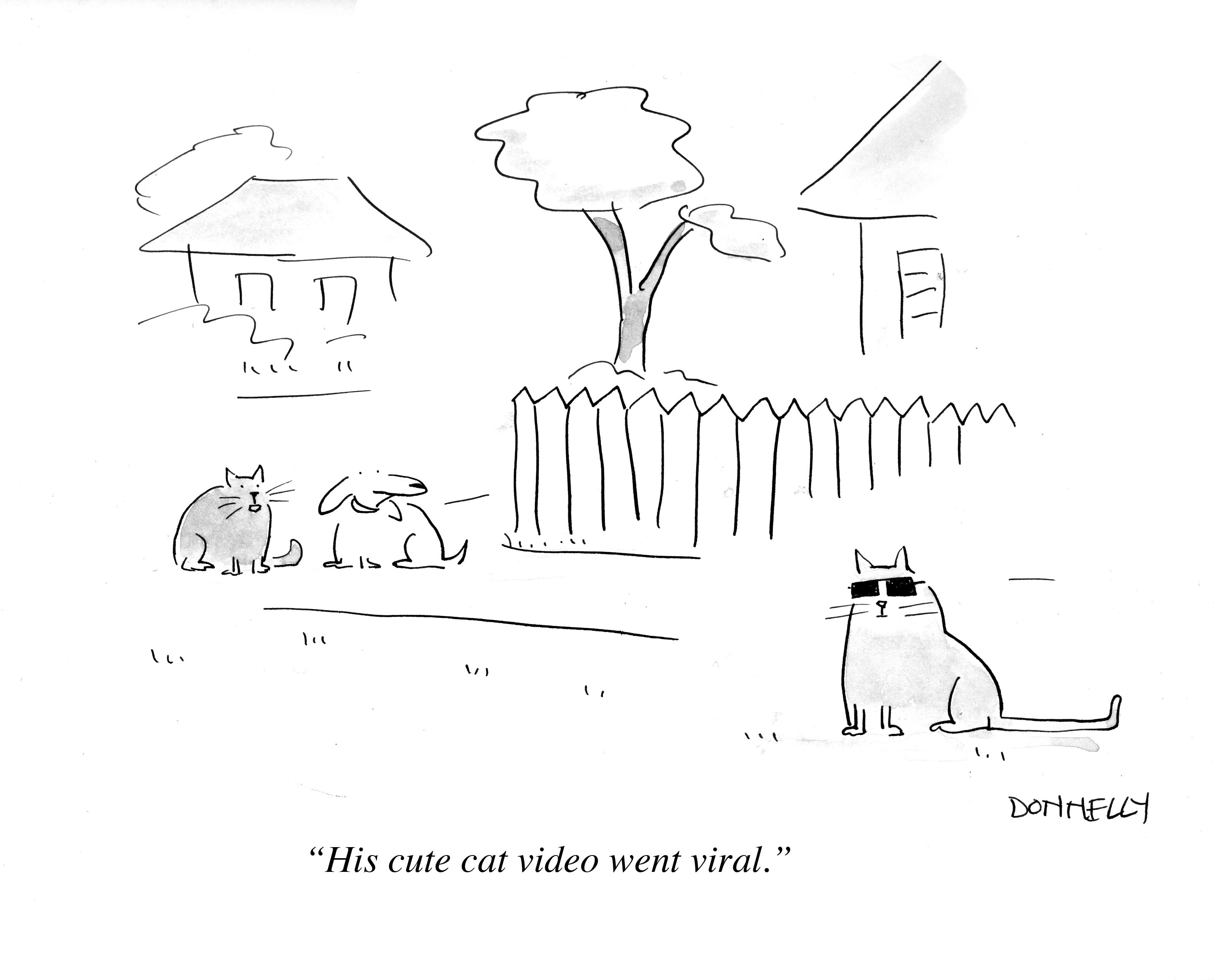 Silly Cat Drawings - by Liza Donnelly - Seeing Things