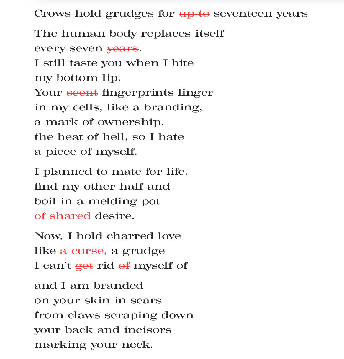 Crows Hold Grudges for 17 years... - by Cat Speranzini