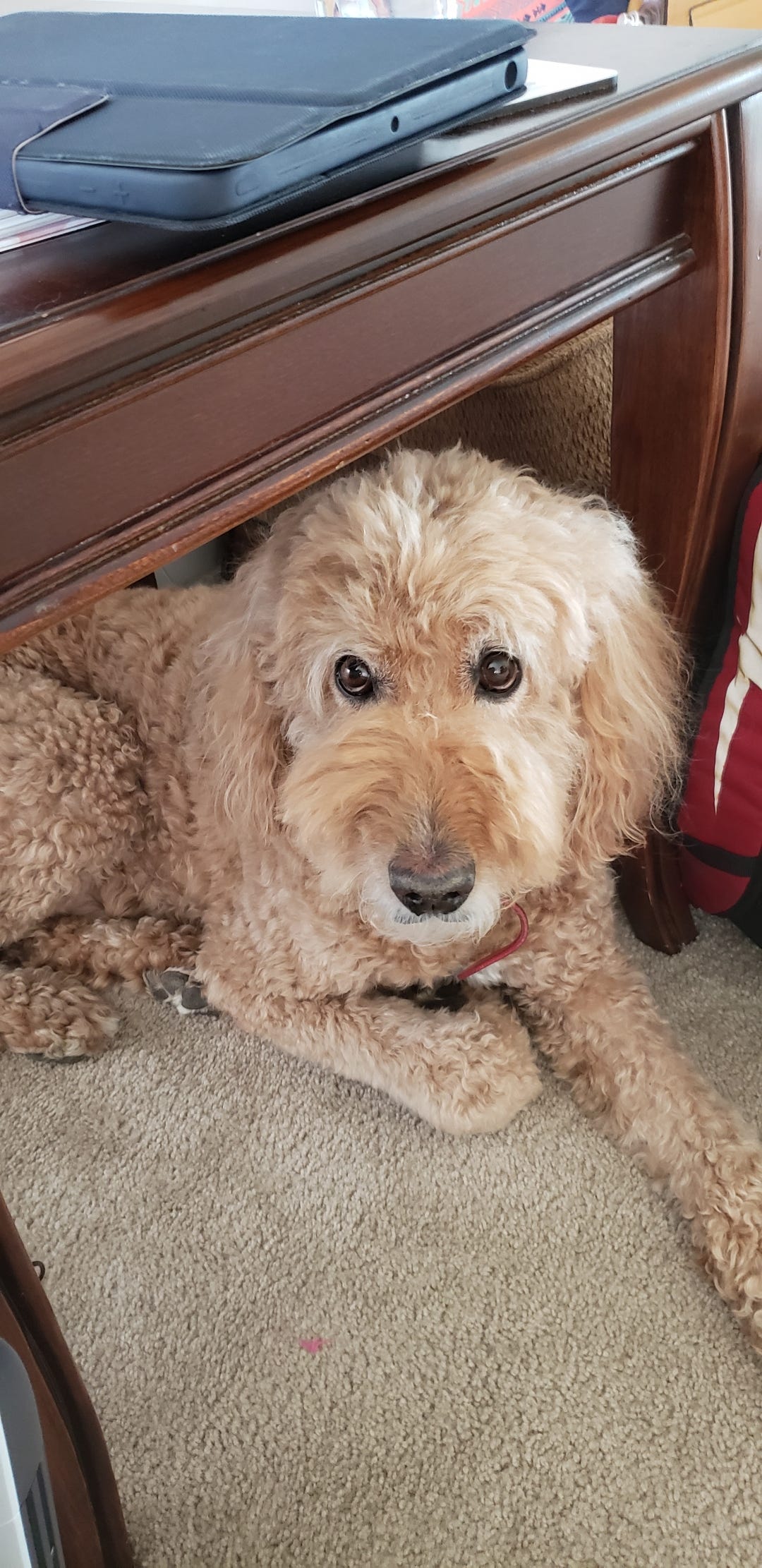 Embracing Love and overcoming Regrets - Karan’s Substack