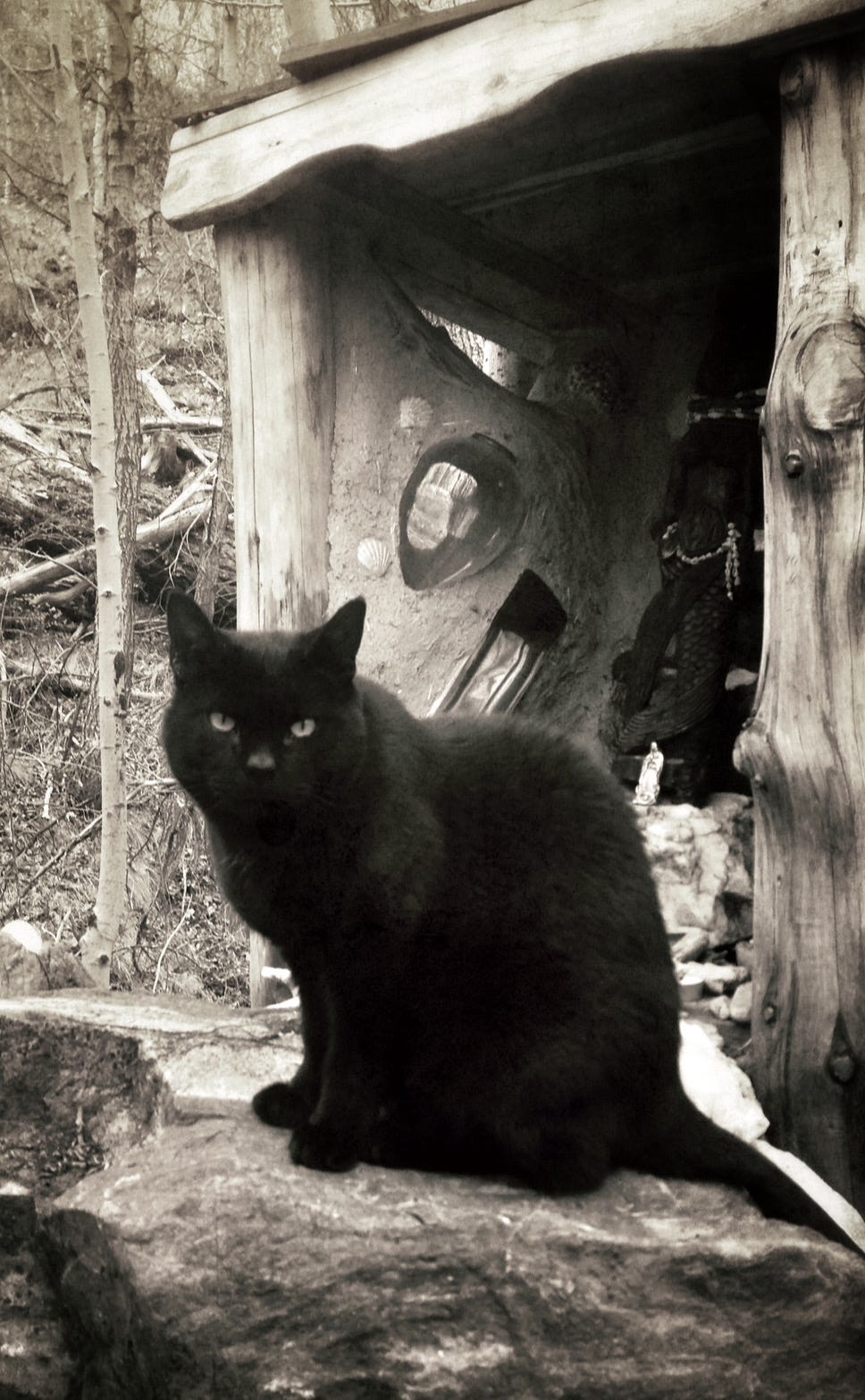 The black cat… - Papadas’s Substack