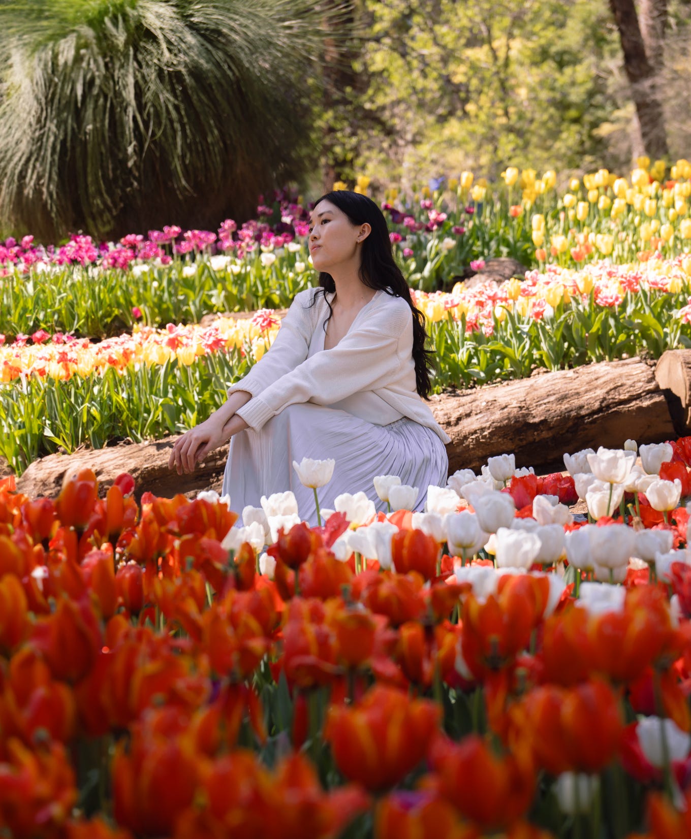 Kelly 💭 | Substack