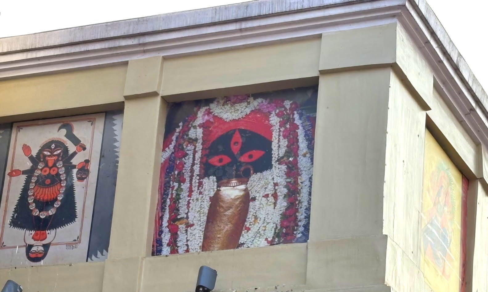 Kali and The Life-Giving Tree - by Kate Moorehead Carroll