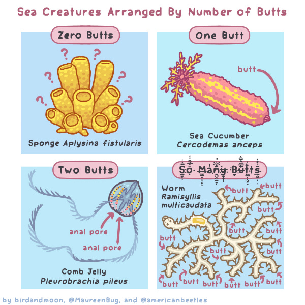 MEP Day 5-Breathe - by Marissa Gamberutti - Decorating Time