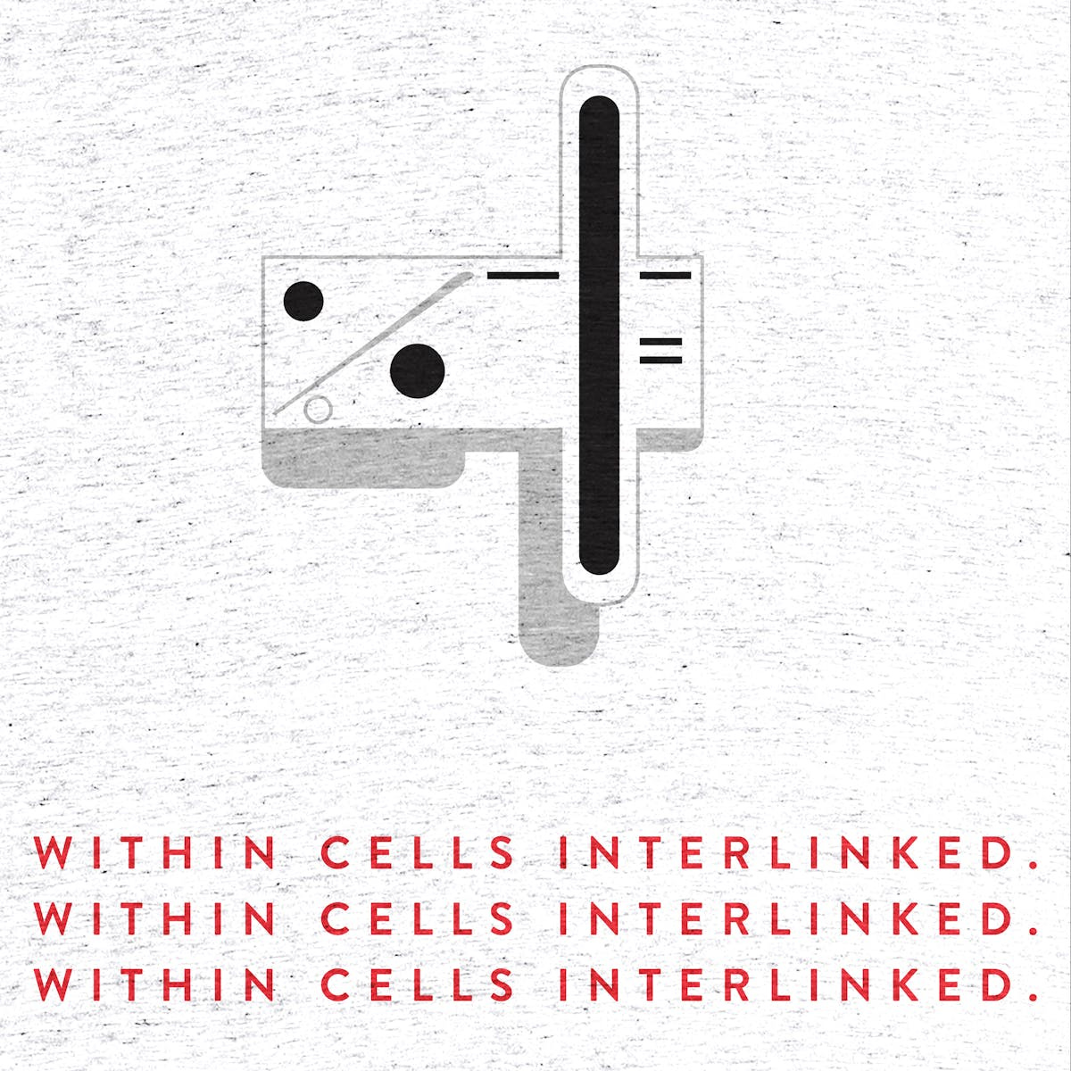 Interlinked: How Does it Feel To Be a Cell Within Cells Within Cells