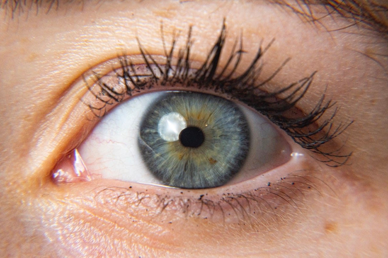 The Ultimate Guide to Macro Photography