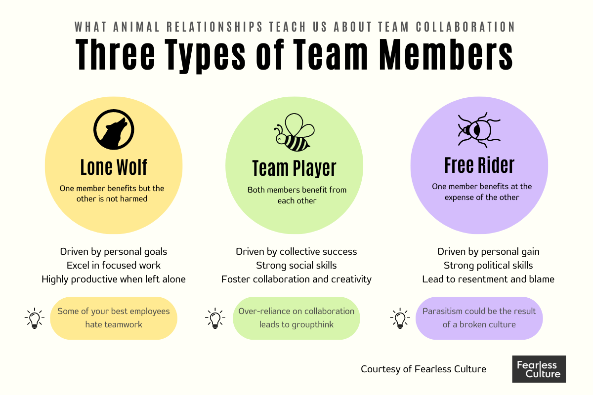 From Wildlife to Work Life: What Animals Can Teach Us About Team Success